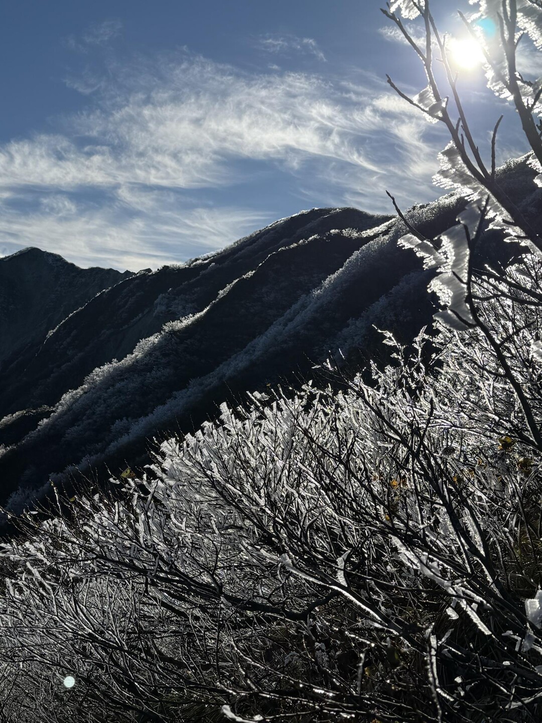 山上を駆け抜けた冬将軍 ️白化粧の大山（弥山） / nyaomaskさんの大山・甲ヶ山・野田ヶ山の活動データ | YAMAP / ヤマップ