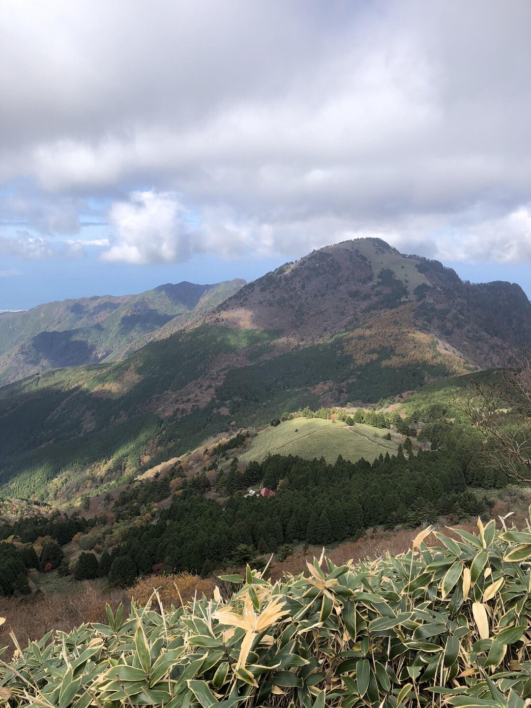 笹ヶ峰 / ともっちさんの笹ヶ峰・寒風山・平家平の活動データ | YAMAP / ヤマップ