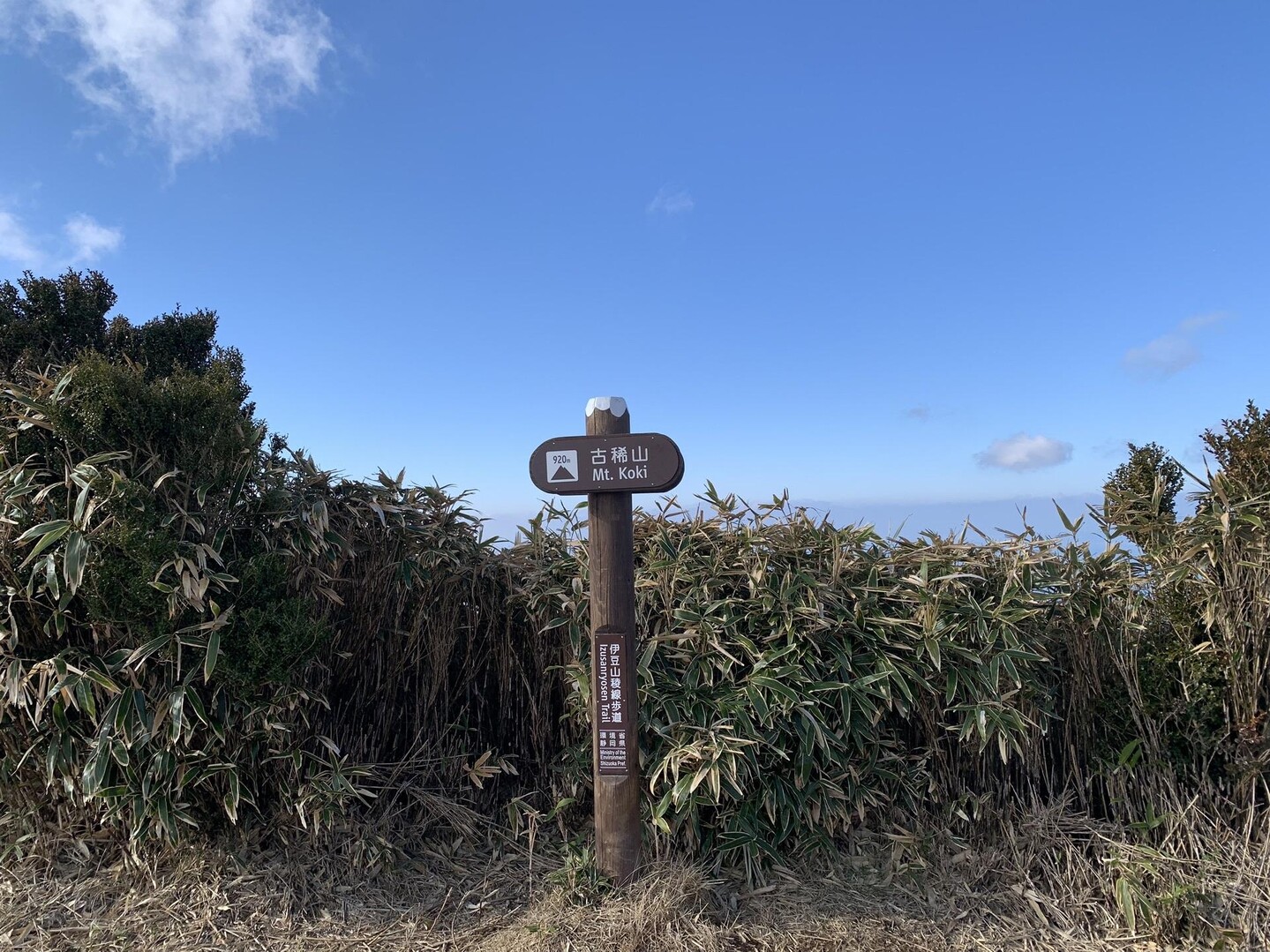 2023登り納め その3 ちょこっと寄り道…古稀山 / M_Akkyさんの金冠山・達磨山・葛城山の活動データ | YAMAP / ヤマップ