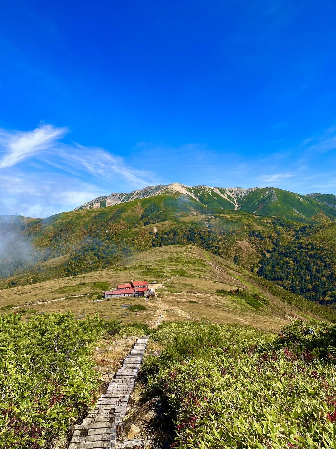 太郎山 / - chica -🎆さんの水晶岳・薬師岳・黒部五郎岳の活動データ | YAMAP / ヤマップ