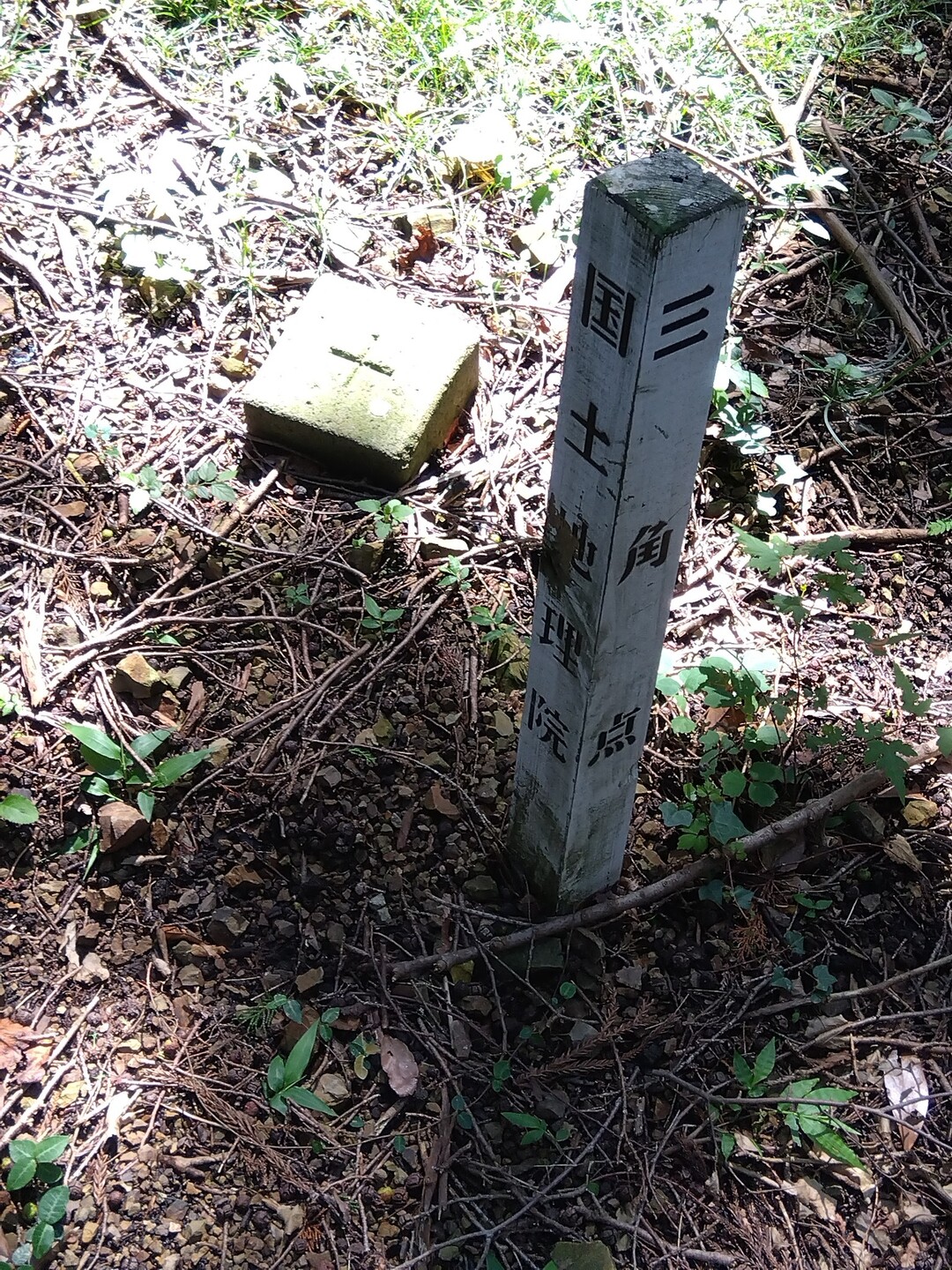 k54さんの投稿したフィールドメモ | YAMAP / ヤマップ