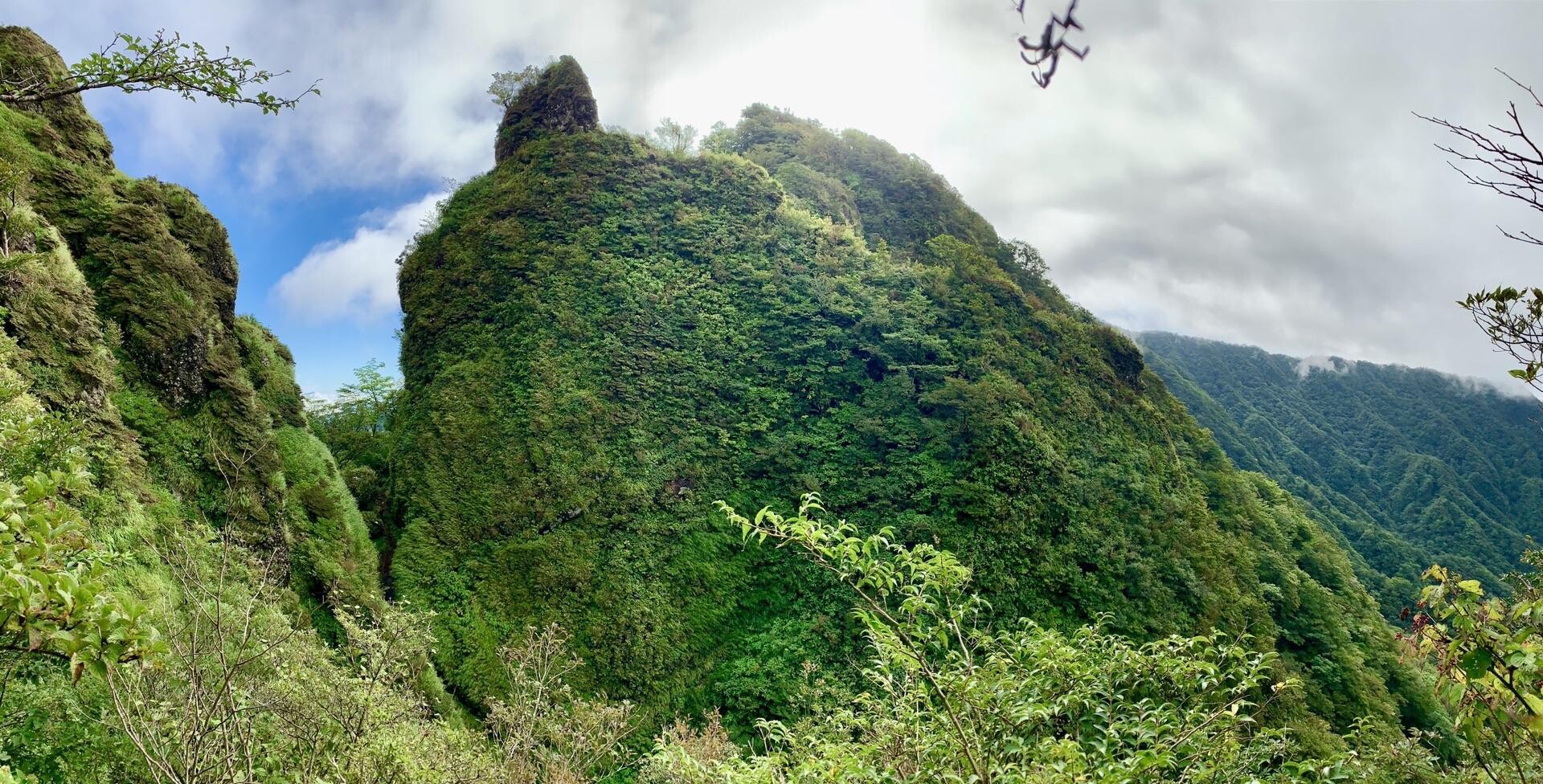 愛鷹山ラウンドトレイル3rd 主峰全踏 / yu-nozukiさんの愛鷹山・大岳・黒岳の活動日記 | YAMAP / ヤマップ