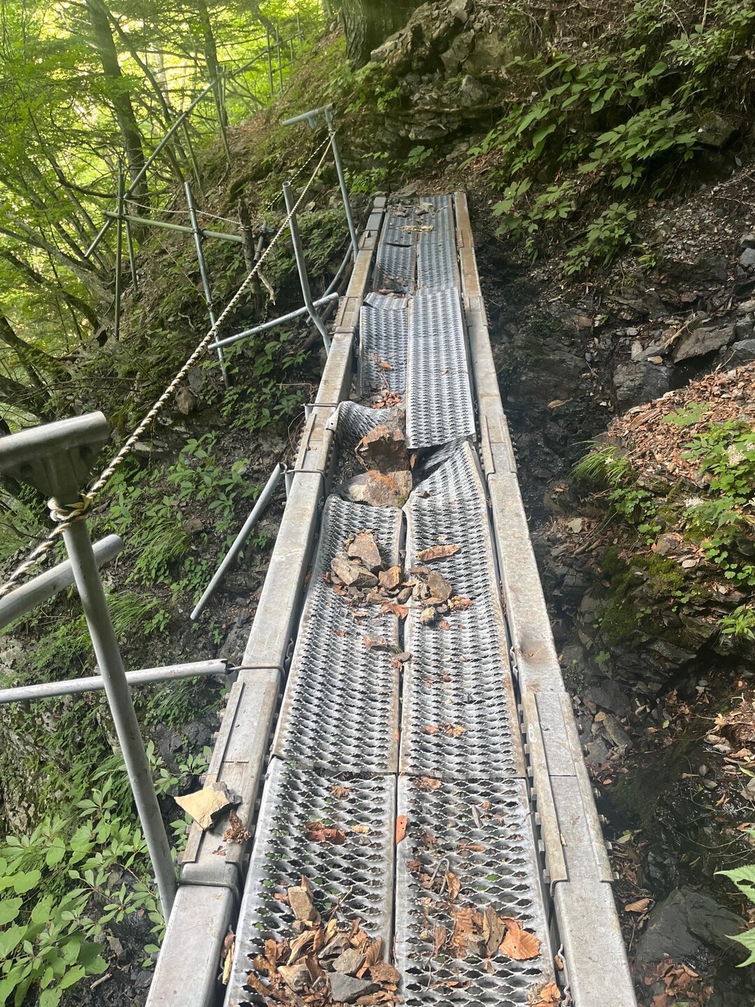 shin🤗さんの投稿したフィールドメモ | YAMAP / ヤマップ