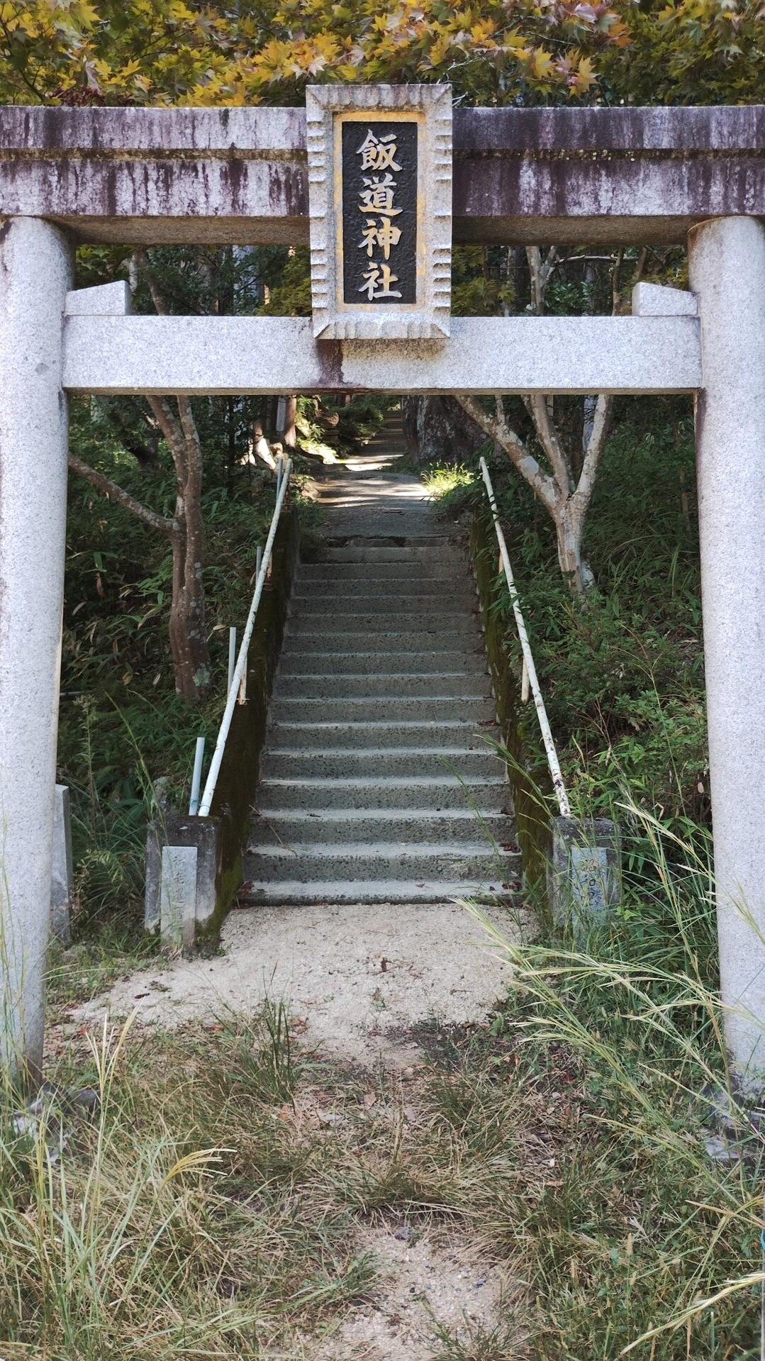 忍者も修行した！（と言われている）飯道山 / YO$HIさんの飯道山の活動データ | YAMAP / ヤマップ