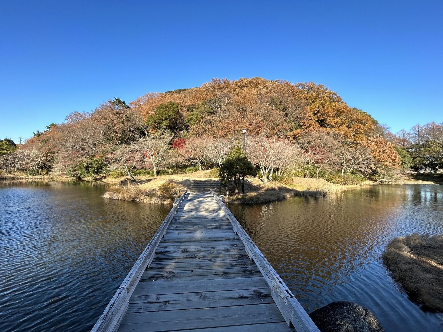 根川山 / nin*さんの東海道五十三次(浜松宿・舞坂宿・新居宿・白須賀)の活動データ | YAMAP / ヤマップ