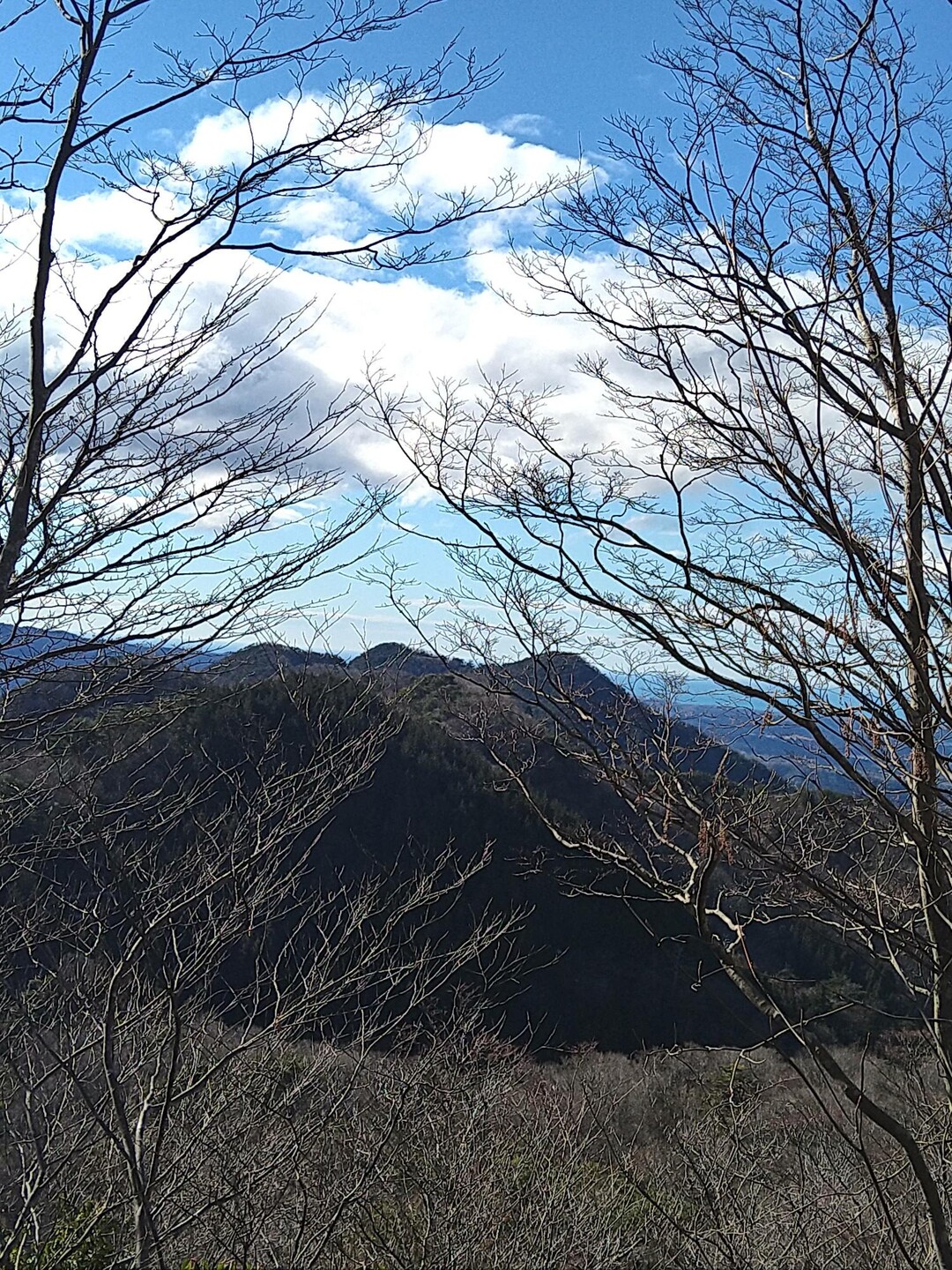 三童子山山步 23-01 wt,8.5kg / toshiさんの鞍掛山・後山・三童子山の活動データ | YAMAP / ヤマップ