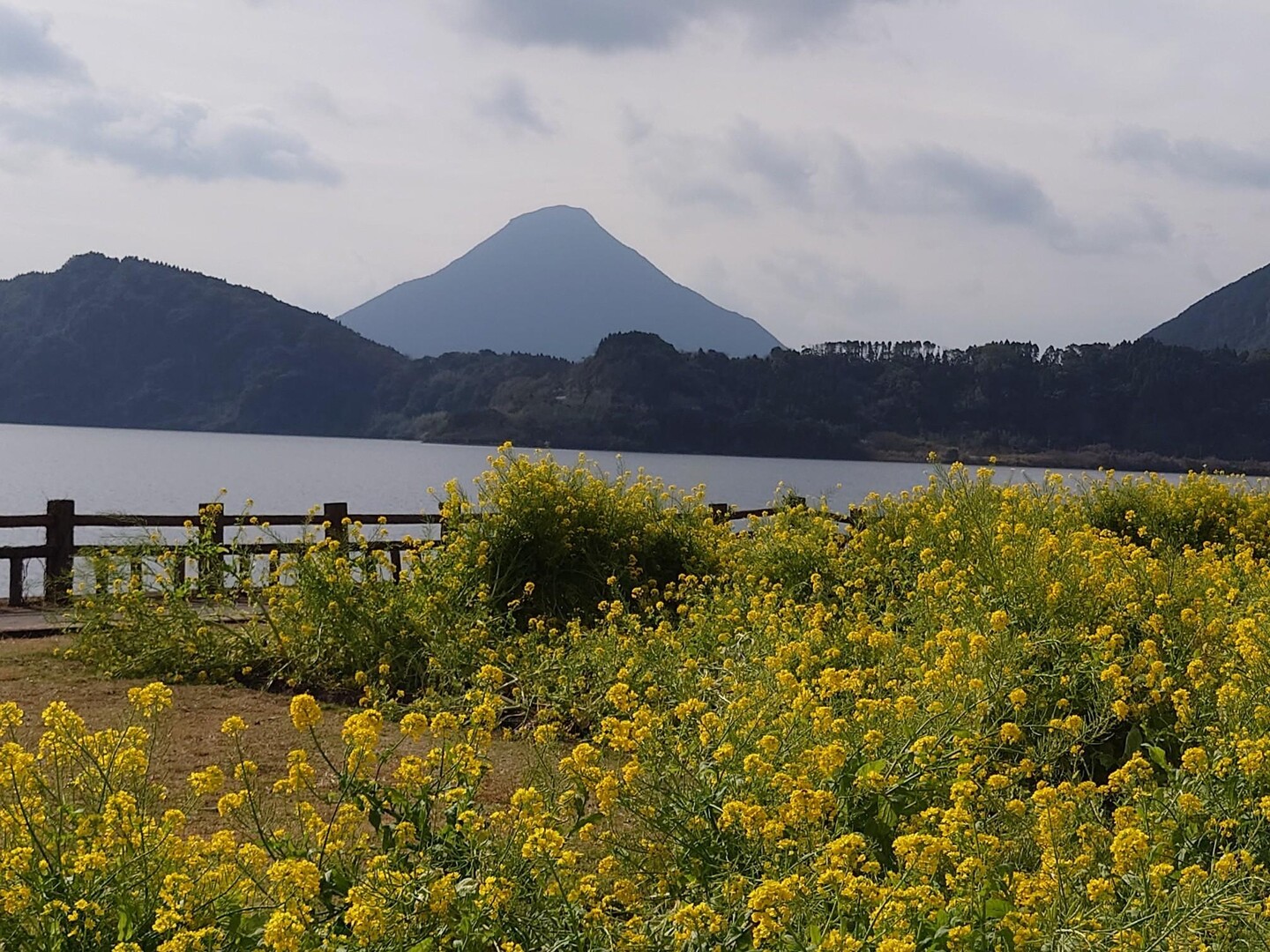 開聞岳 / tomyさんの開聞岳の活動データ | YAMAP / ヤマップ