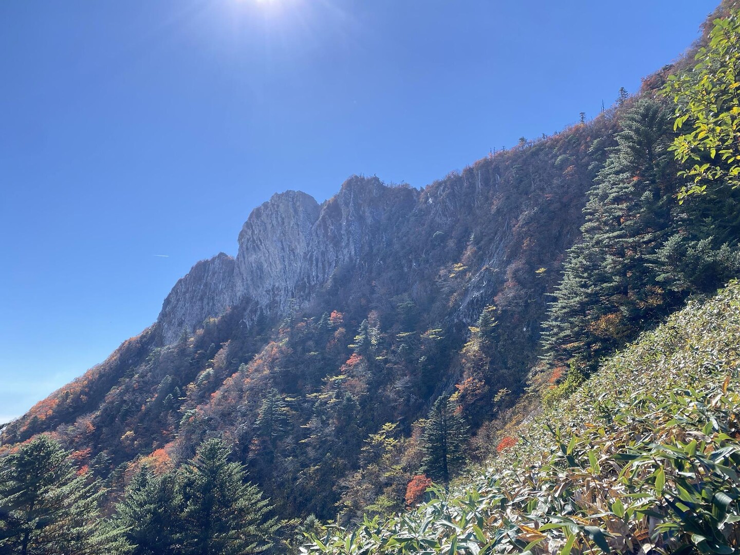 石鎚山 紅葉🍁 / wanbenさんの石鎚山・堂ヶ森・二ノ森の活動データ | YAMAP / ヤマップ