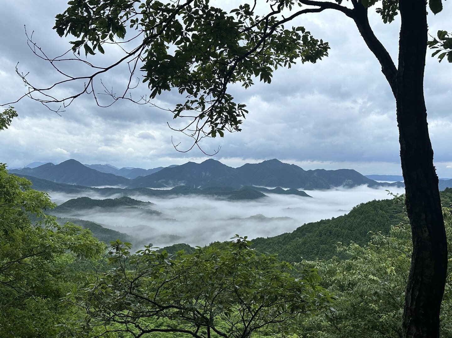 新車で雲海見に堀坂山🚗 / Prime05さんの堀坂山・観音岳・桝形山（白米城）の活動データ | YAMAP / ヤマップ