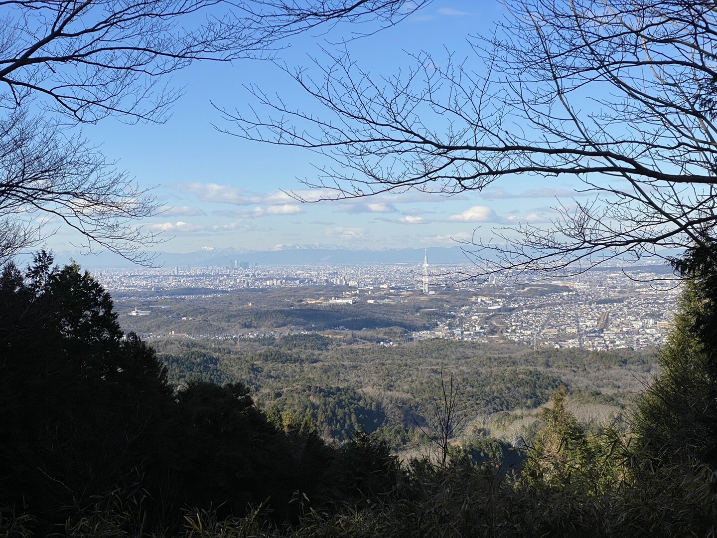 物見山 / amanomanさんの猿投山・物見山の活動日記 | YAMAP / ヤマップ