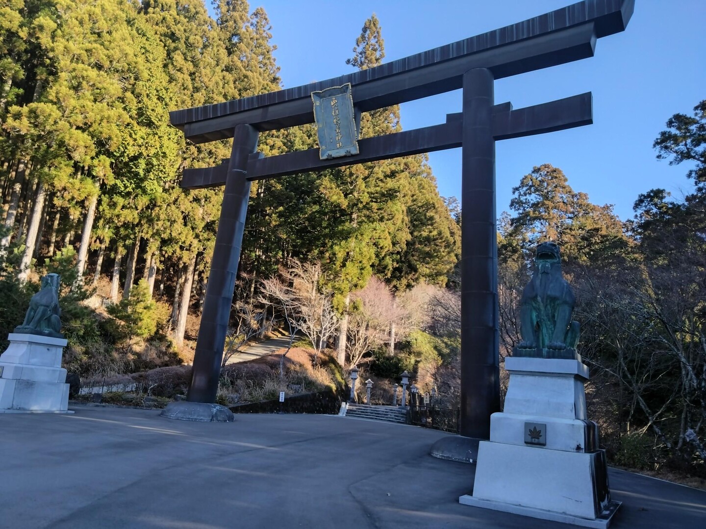 秋葉山 / MIOさんの秋葉山の活動データ | YAMAP / ヤマップ