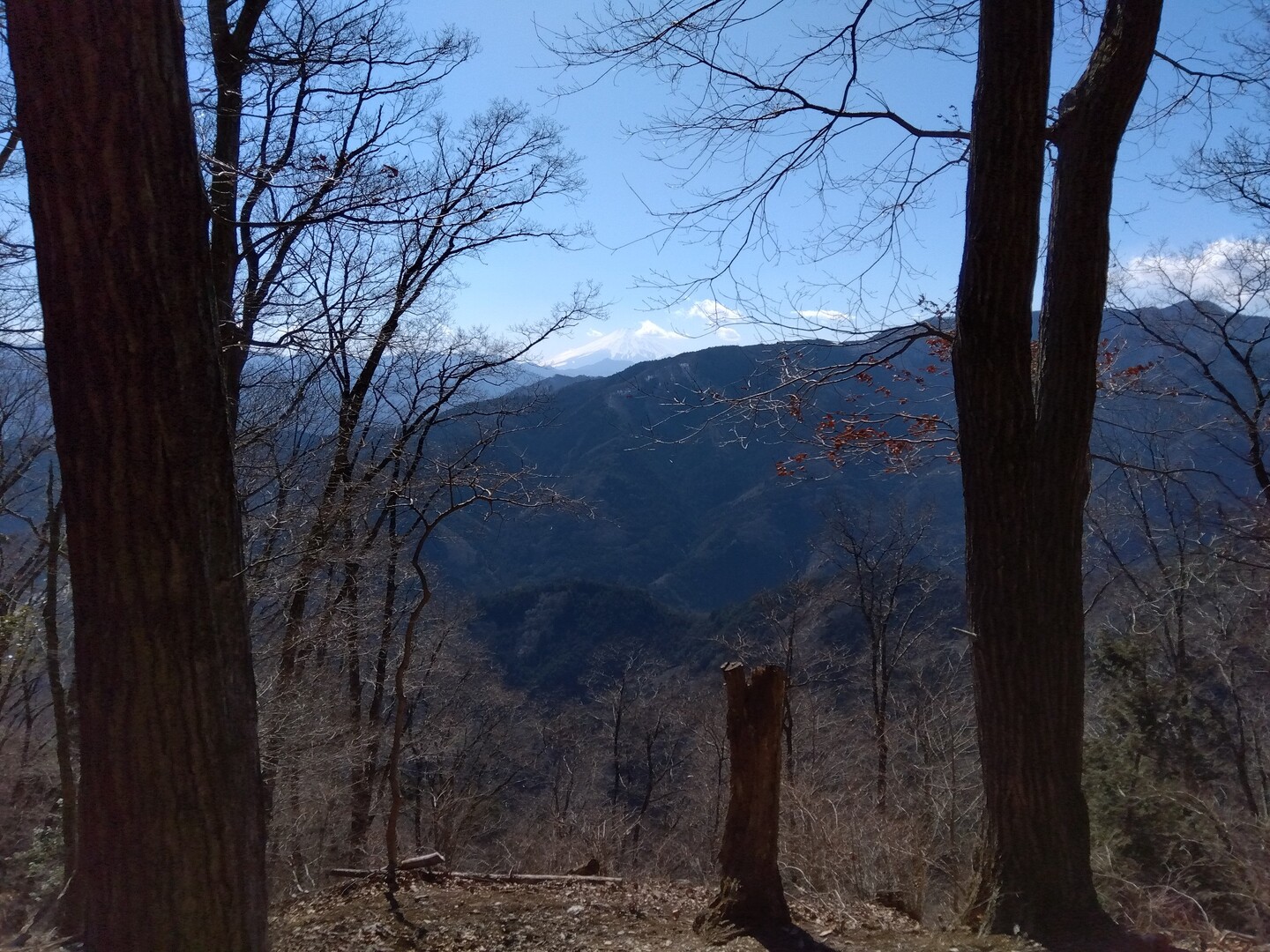 taiidanaさんの投稿したフィールドメモ | YAMAP / ヤマップ