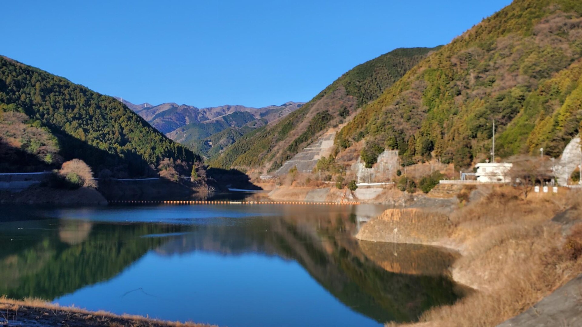 棒ノ嶺（棒ノ折山）・槇ノ尾山 / yhさんの棒ノ折山（棒ノ嶺）の活動データ | YAMAP / ヤマップ