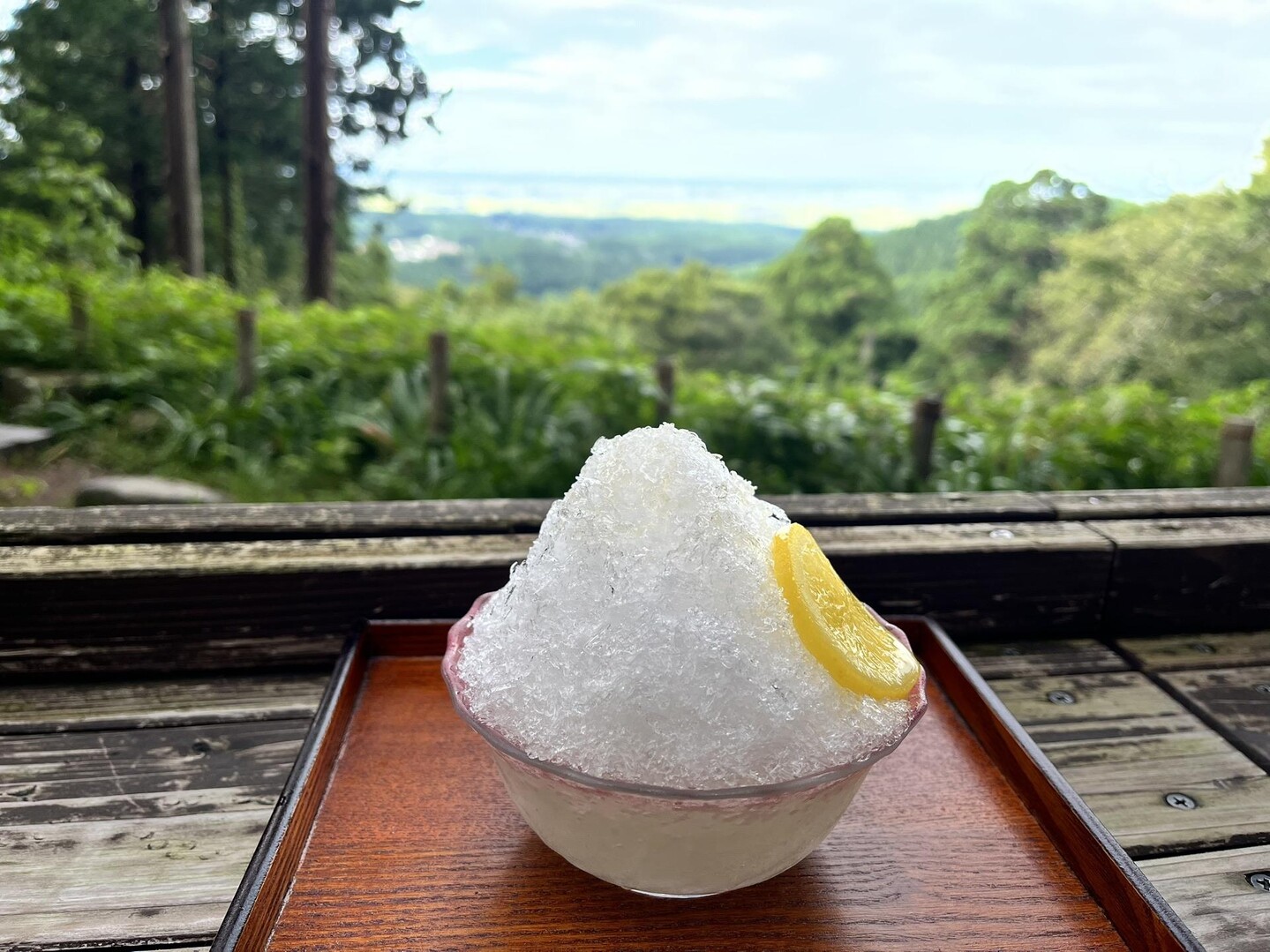 羽黒山 / HTさんの羽黒山の活動データ | YAMAP / ヤマップ