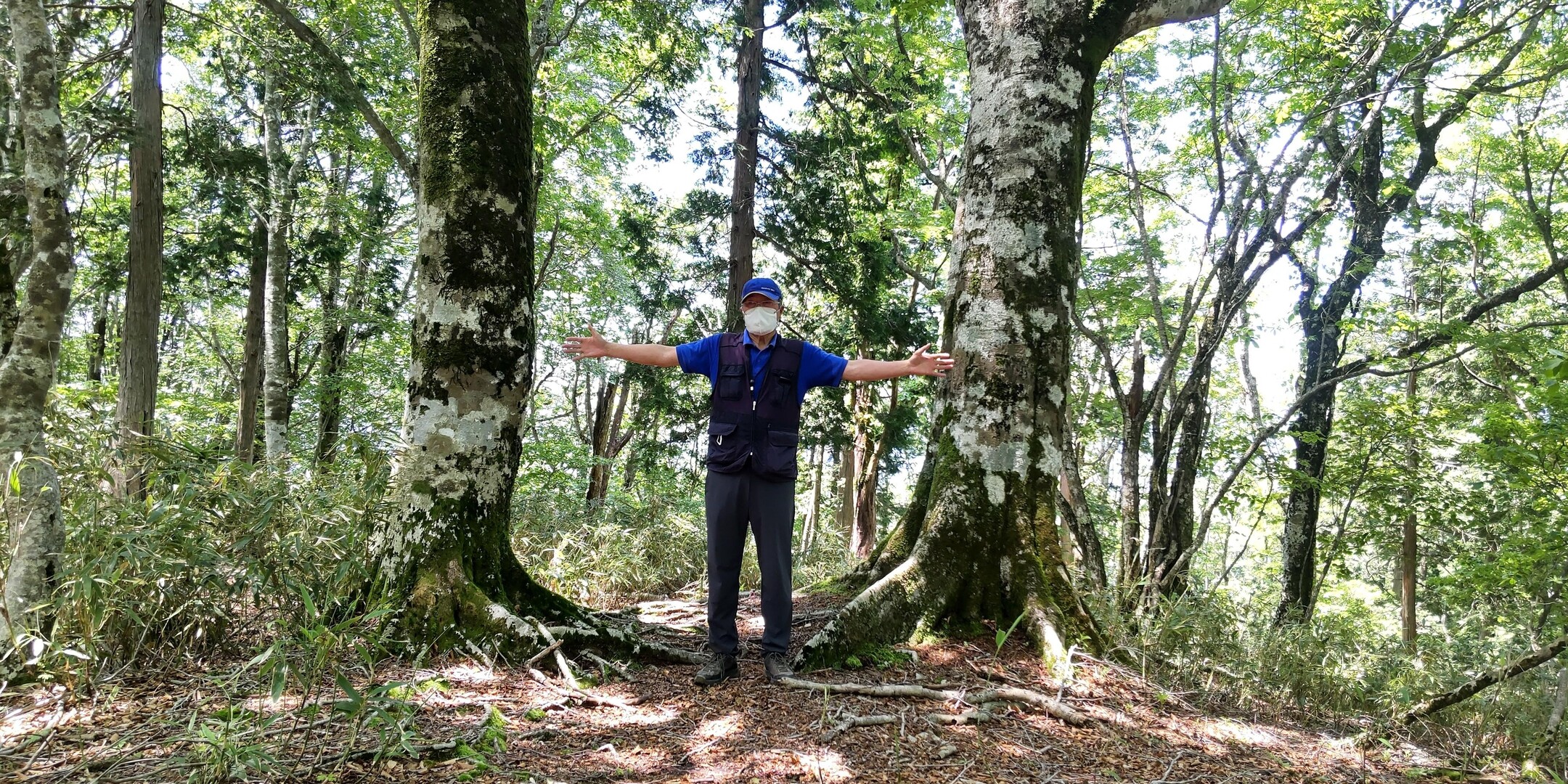 赤谷山① / koke280さんの赤谷山の活動日記 | YAMAP / ヤマップ