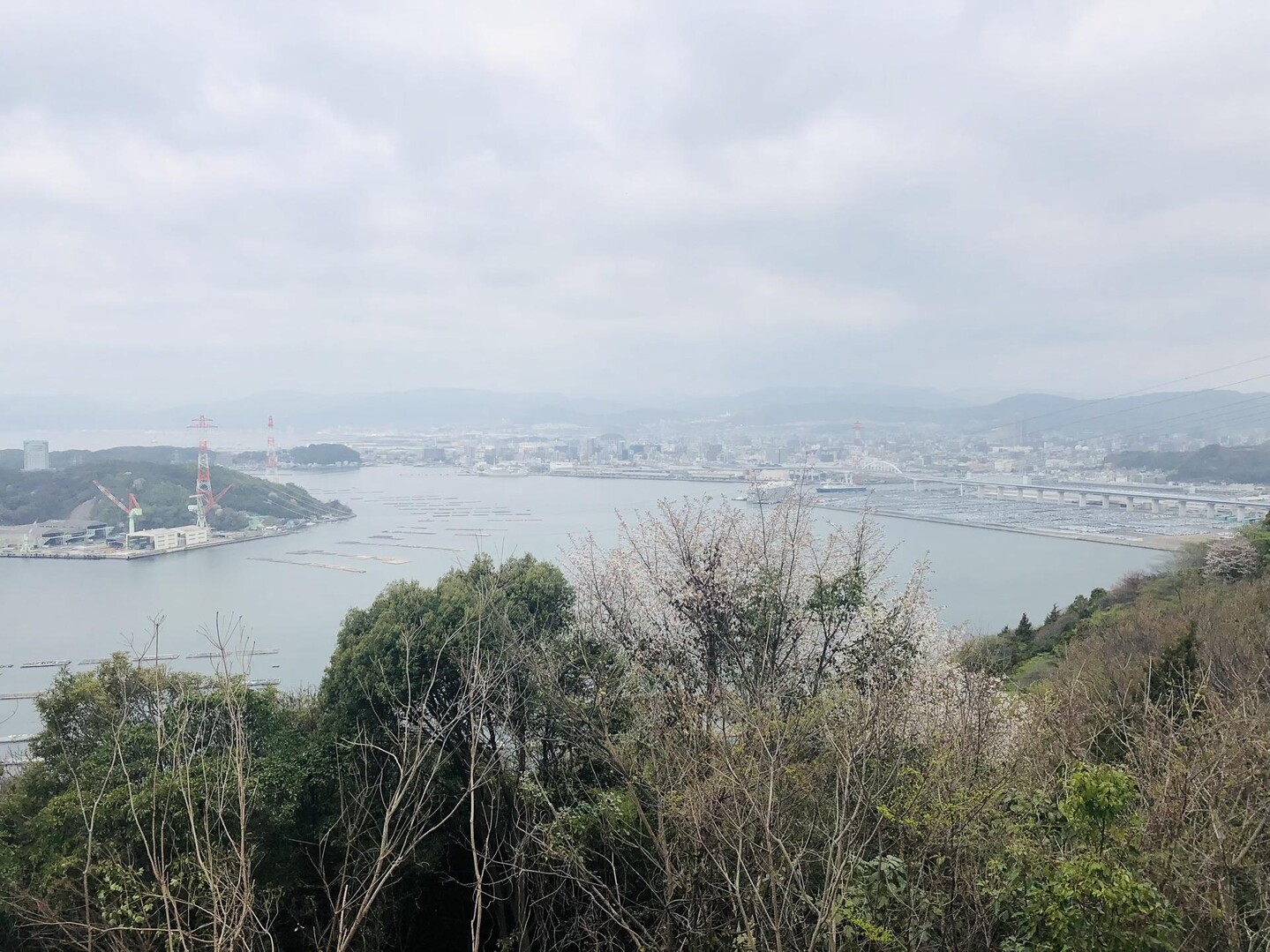 〇森山 / Coo（くぅ🗝️）さんの絵下山・天狗城山・森山の活動データ | YAMAP / ヤマップ