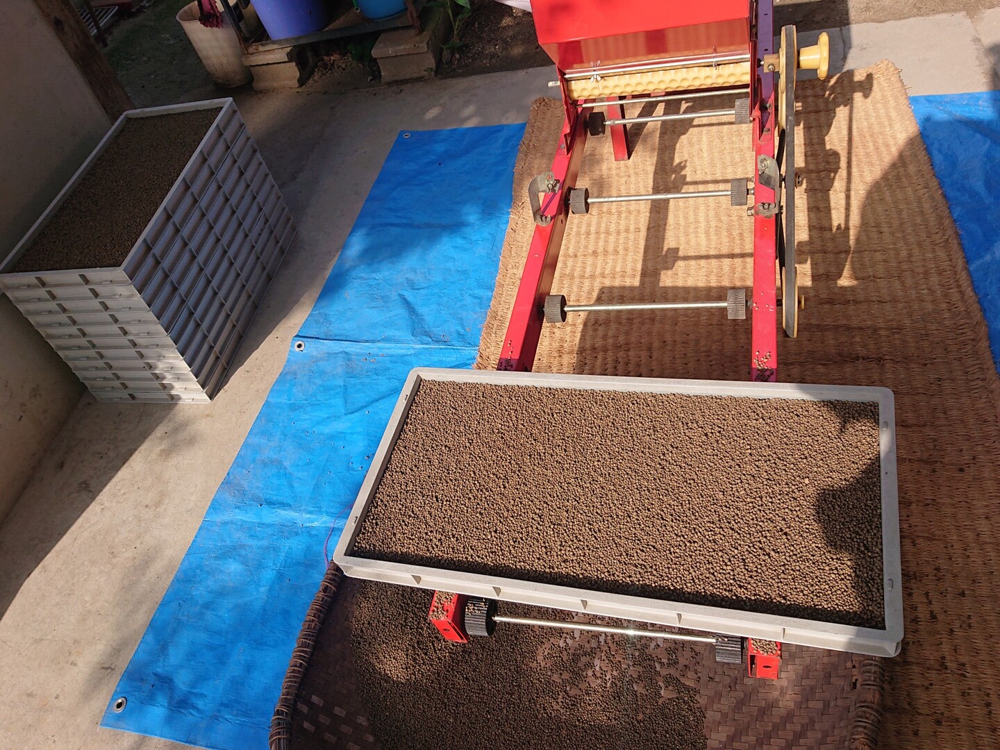 今日は田植えの準備‼️ 籾まき。 来年か... / びいすとKさんのモーメント | YAMAP / ヤマップ