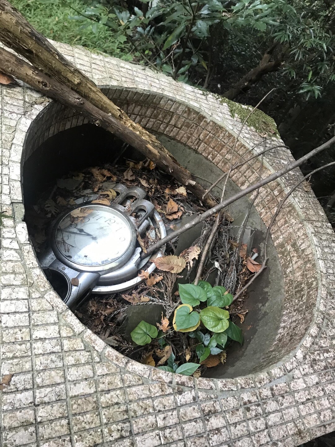 天狗山・大前山・破風山 / yamajazzさんの釈迦ヶ岳・大栃山の活動日記 | YAMAP / ヤマップ