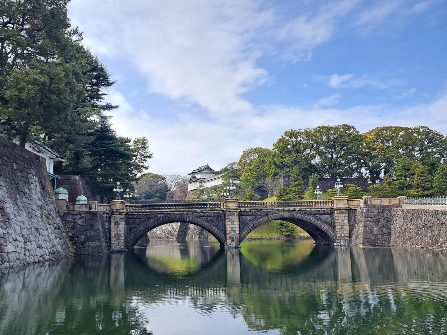 TTT(Tokyo Tree Trek )🍀Section 5～6 / リオナギさんのTokyo Tree Trek (Section 2)の活動データ | YAMAP / ヤマップ