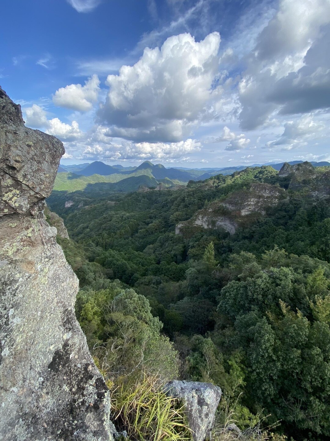 久々にナカンサコ！-2023-09-23 / Yamaji88さんの八面山の活動データ | YAMAP / ヤマップ