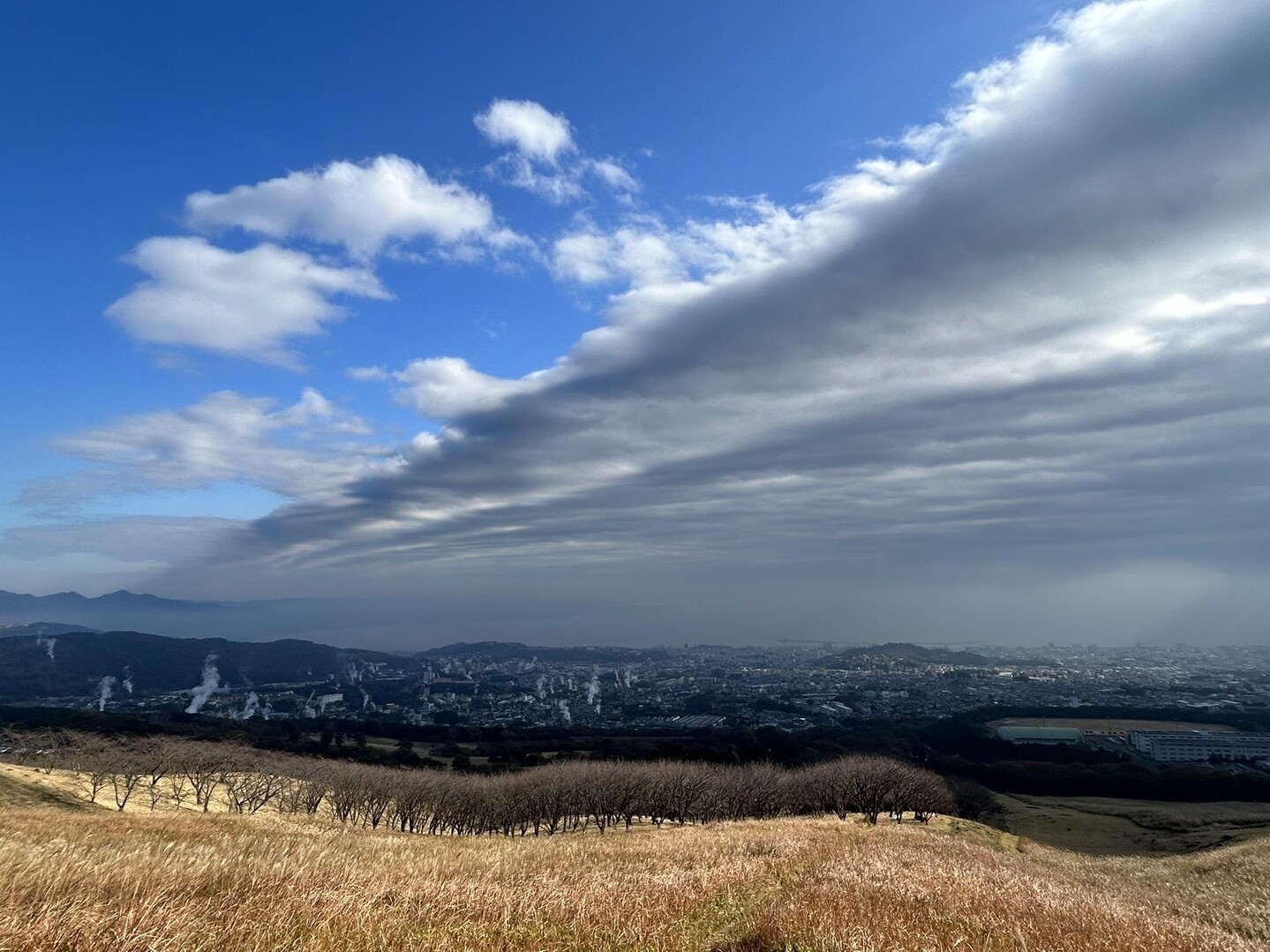鍋山にハート♡紅葉発見((´∀`*))扇山（大平山）。 / datinさんの由布岳・鶴見岳の活動データ | YAMAP / ヤマップ