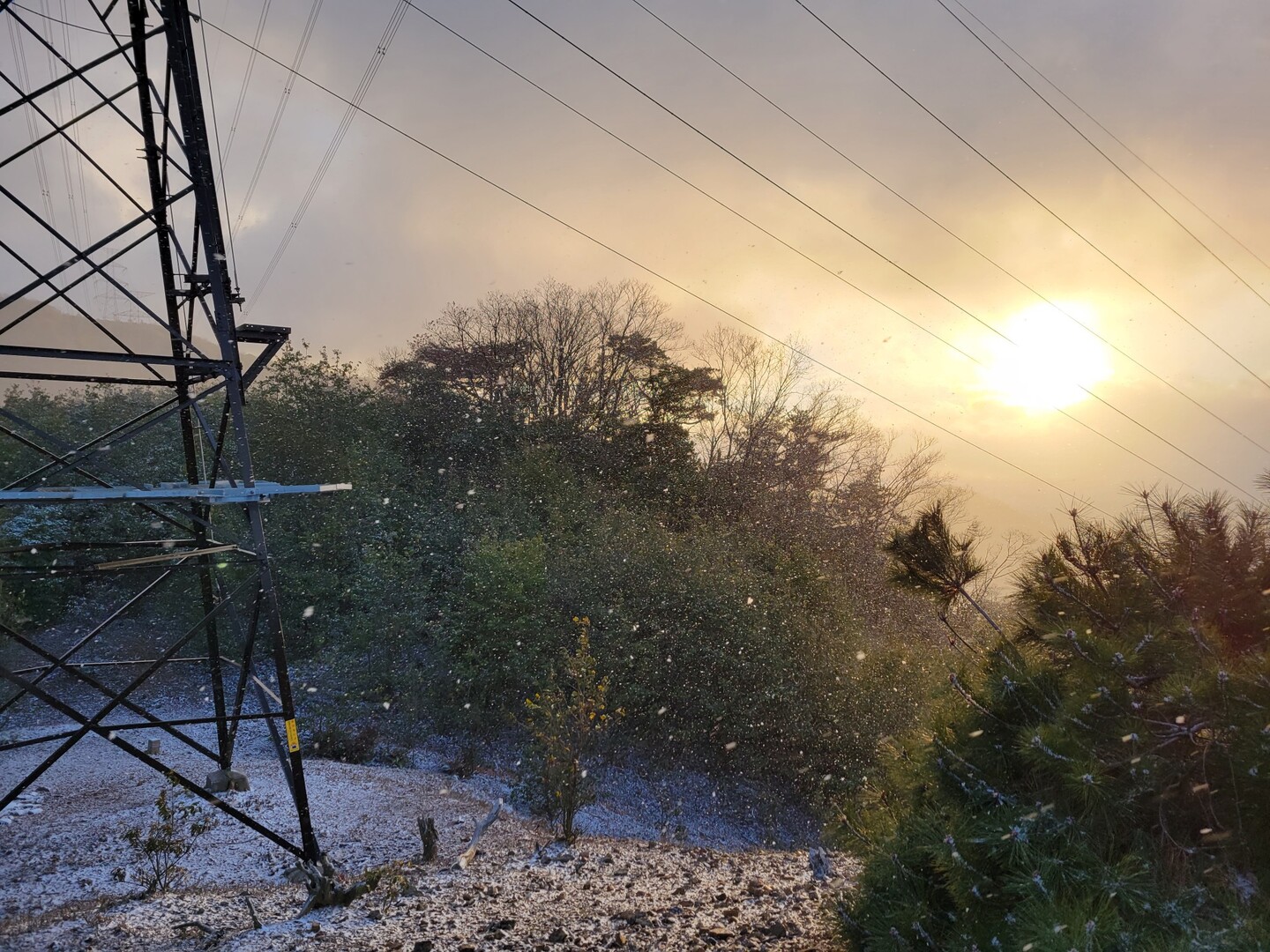 音羽山 仙人の滝コース↑破線ルート探検→NTT管理道路↓ / かずちゃんさんの音羽山・醍醐山の活動データ | YAMAP / ヤマップ
