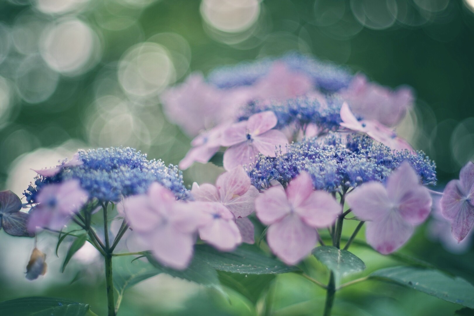 ⛰山歩きに行けない週末が続いており、近く... / Kotaさんのモーメント | YAMAP / ヤマップ