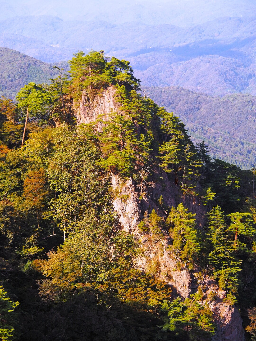天神山（777m）．．．中国100名山 / giant-okadaさんの城山・経ヶ岳・天神山の活動データ | YAMAP / ヤマップ