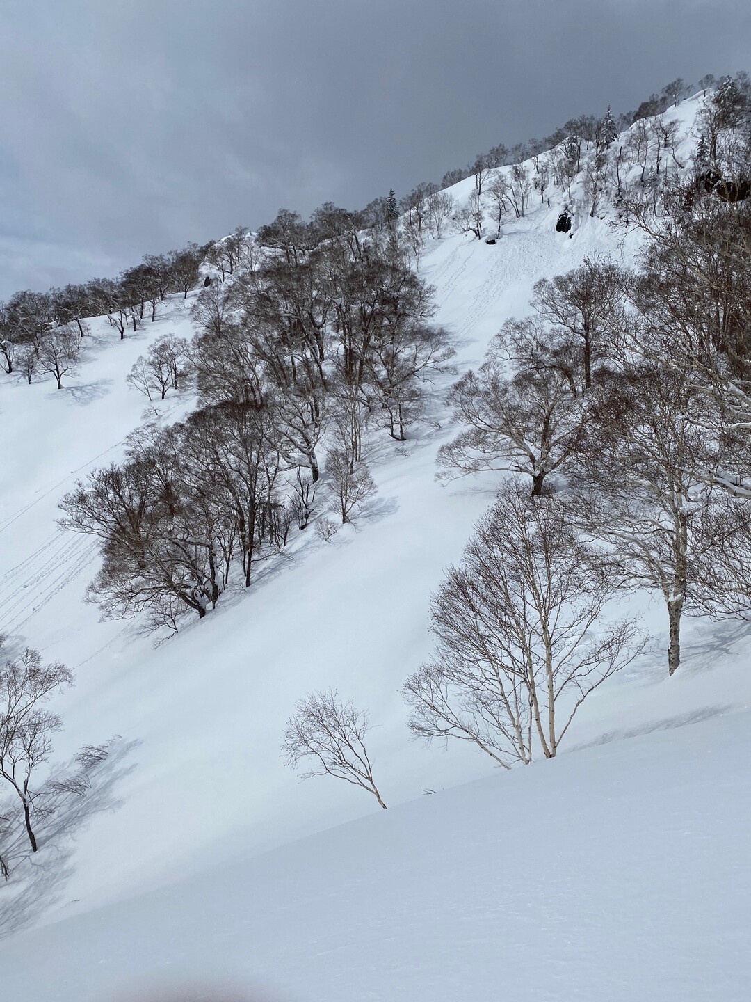 滑沢山・ヒクタ峰・定山渓天狗岳Ⅲ峰 / satokenさんの余市岳・定山渓天狗岳の活動データ | YAMAP / ヤマップ