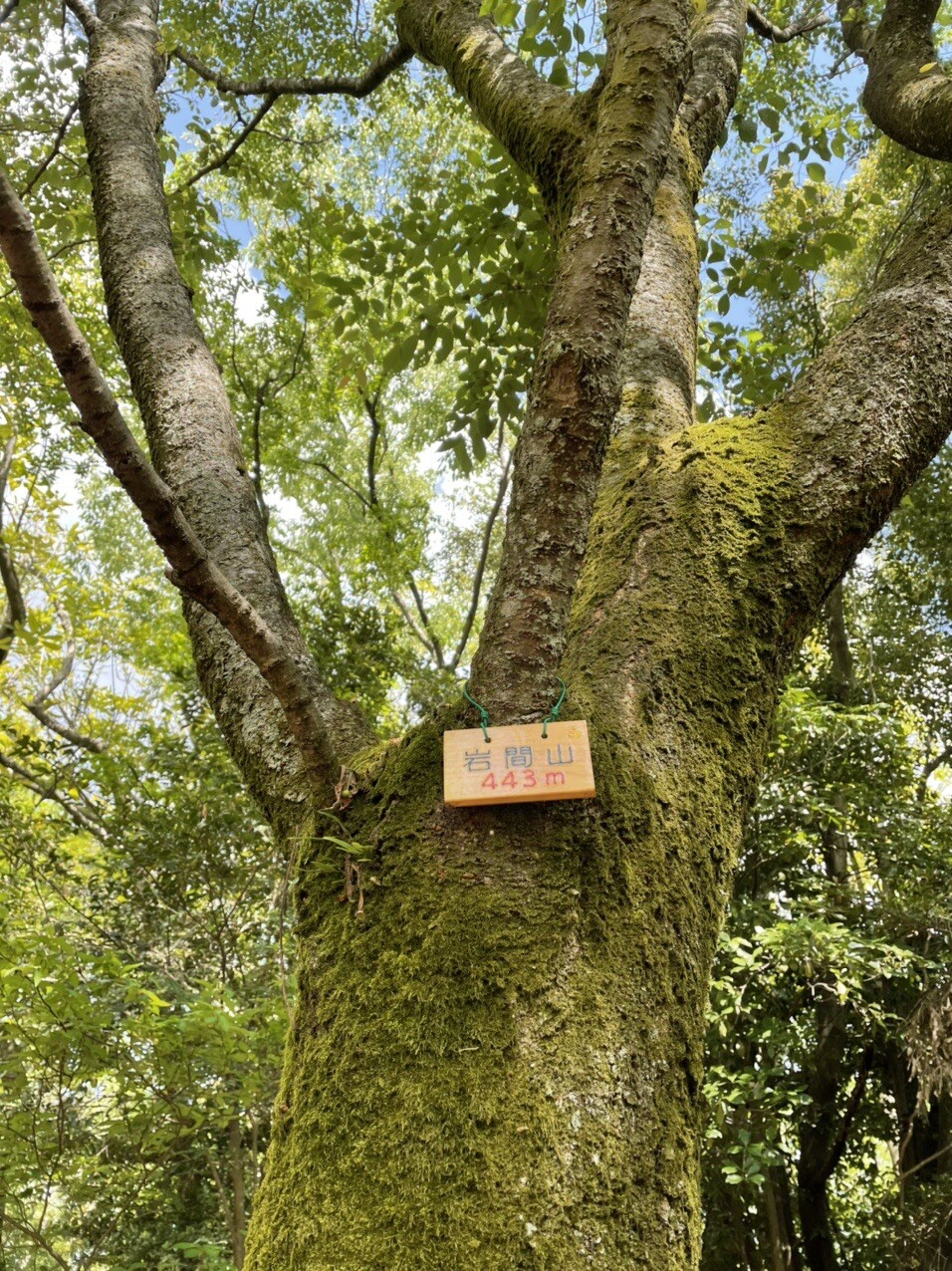 GW帰省中の息子、お正月から5Kgダイエ... / naoさんのモーメント | YAMAP / ヤマップ