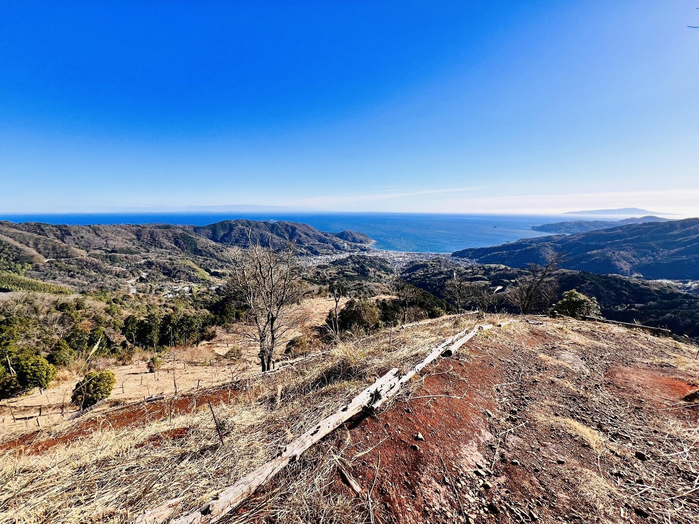 大丸山・巣雲山 / ZUNさんの巣雲山の活動データ | YAMAP / ヤマップ