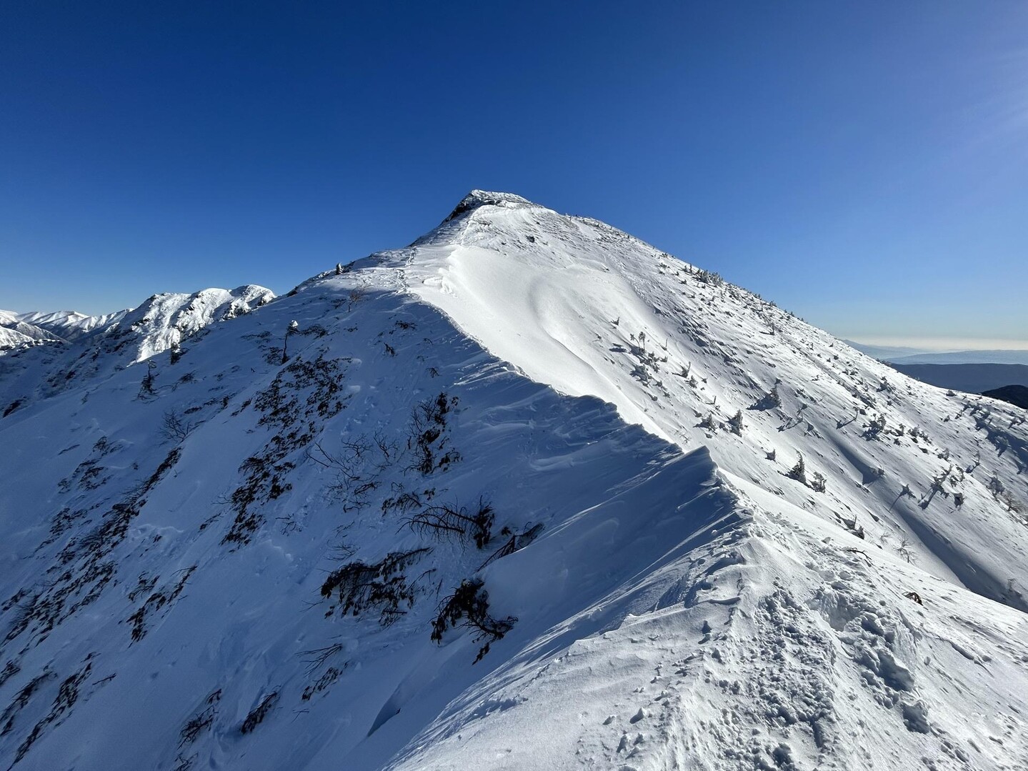 霞沢岳 / simさんの霞沢岳の活動データ | YAMAP / ヤマップ