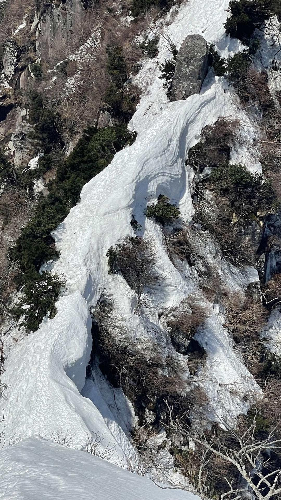 今季2度目の烏ヶ山 2025.3.23... / riwonさんのモーメント | YAMAP / ヤマップ