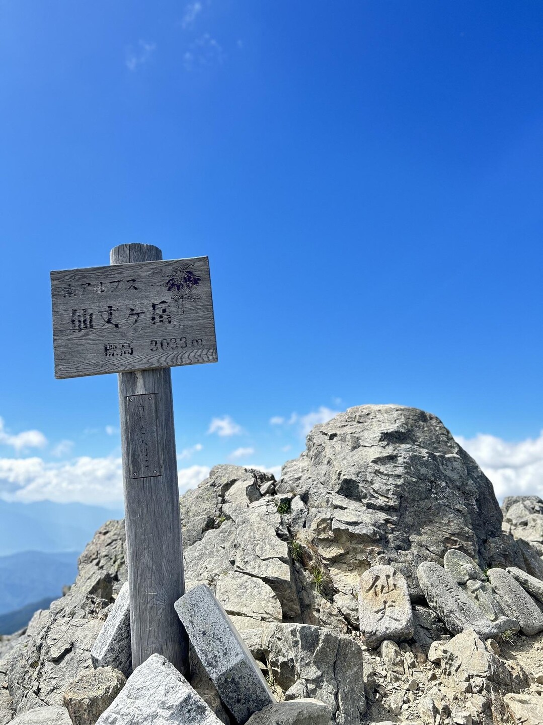 仙丈ヶ岳 2024.07.05-06 / kaiさんの仙丈ヶ岳・伊那荒倉岳の活動データ | YAMAP / ヤマップ