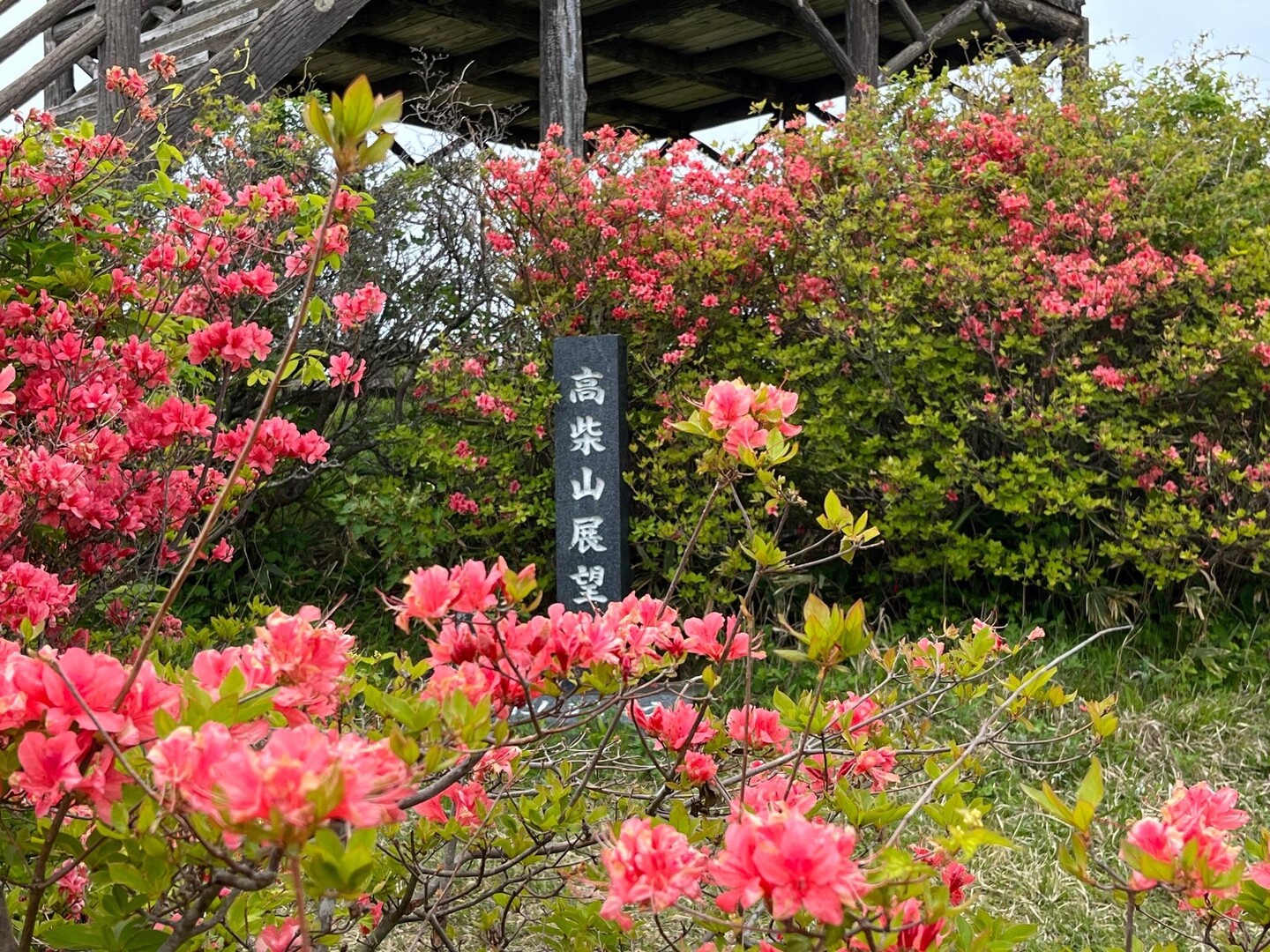 この前高柴山行ってきてついでに蓬田岳の山... / kazuさんのモーメント | YAMAP / ヤマップ