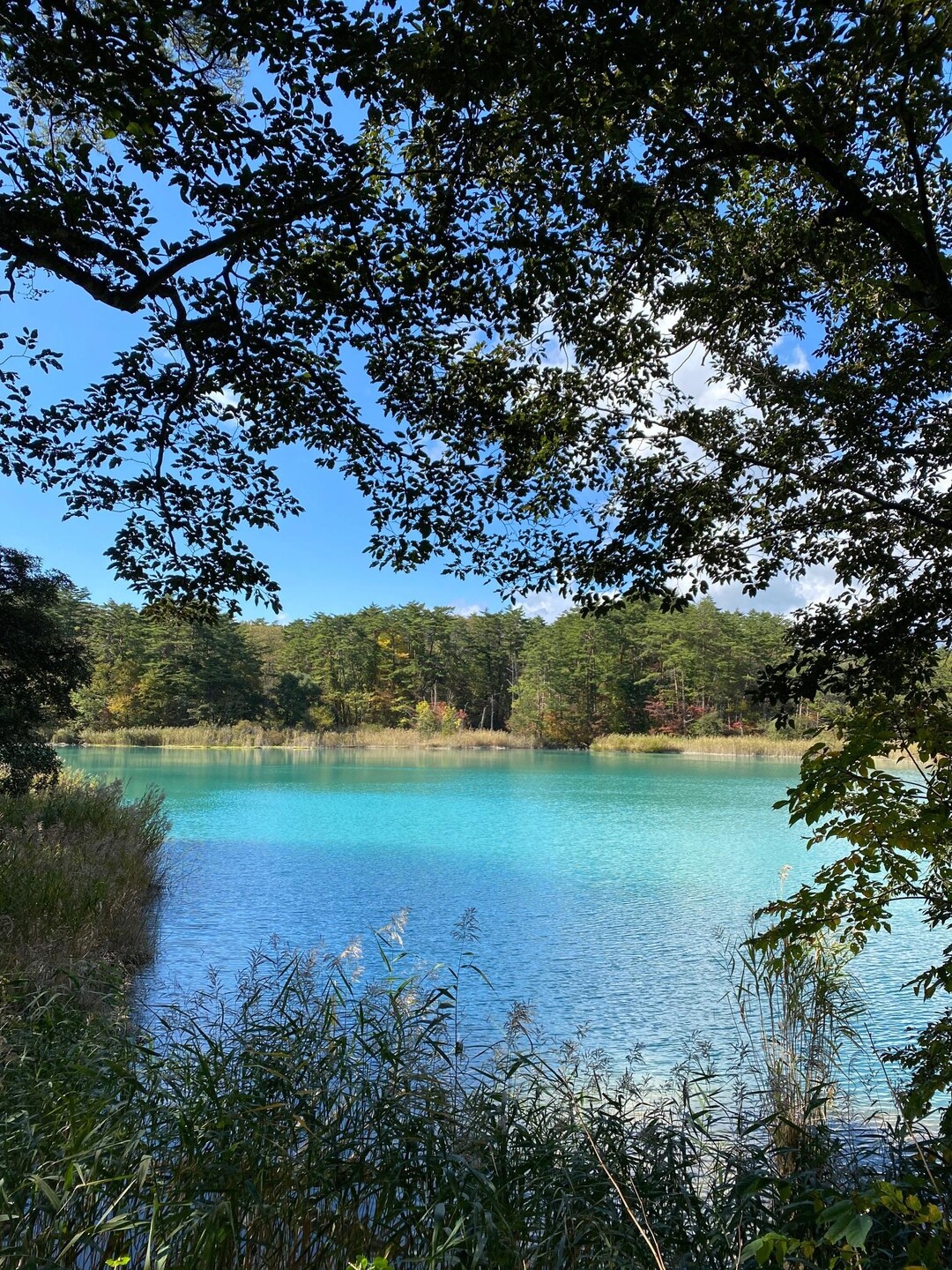 裏磐梯 五色沼散策 / tamakoyさんの磐梯山・雄国山・赤埴山の活動データ | YAMAP / ヤマップ