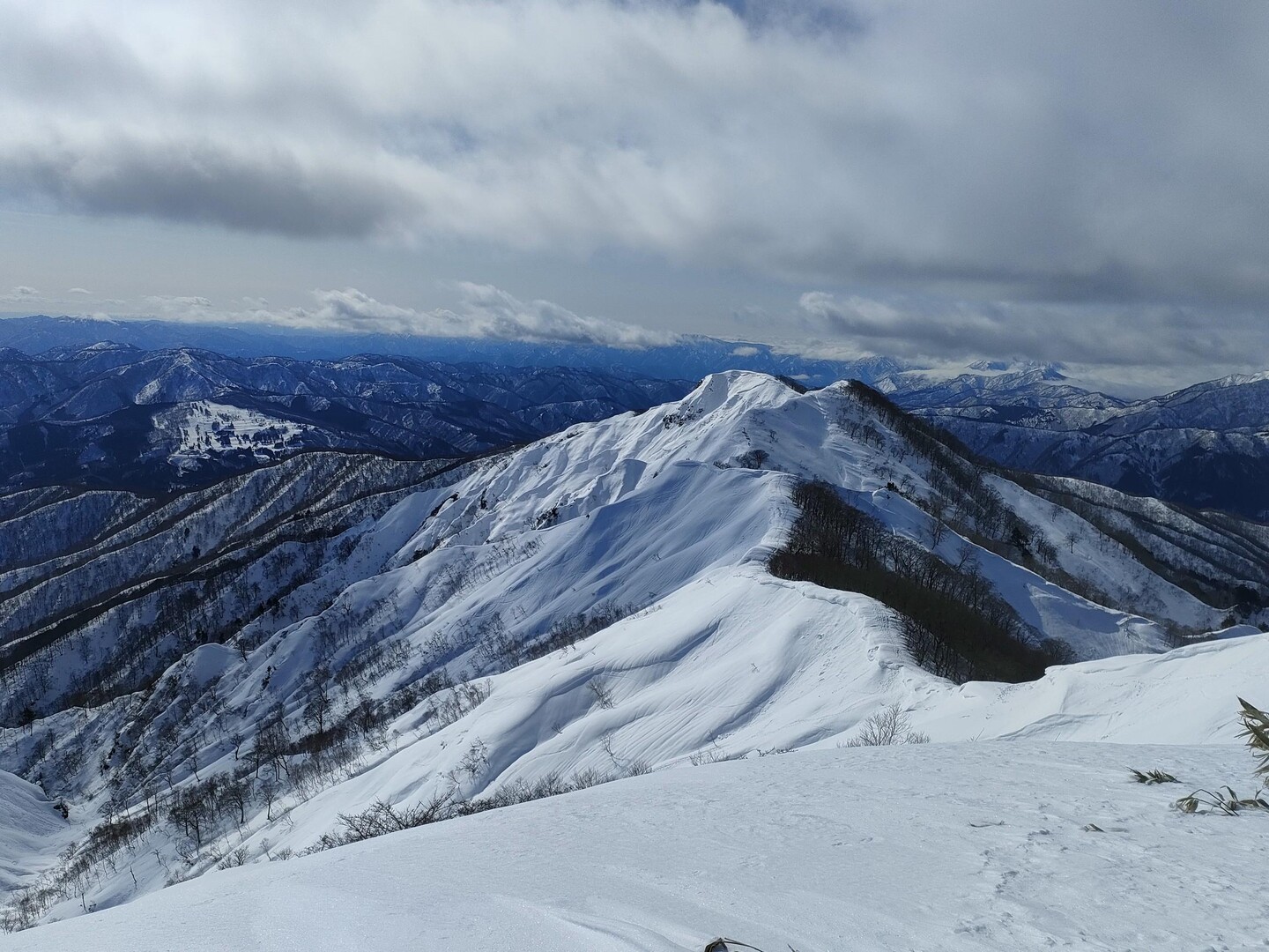 腰痛からの復活！大日ヶ岳・天狗山 / SUMさんの大日ヶ岳・毘沙門岳の活動データ | YAMAP / ヤマップ