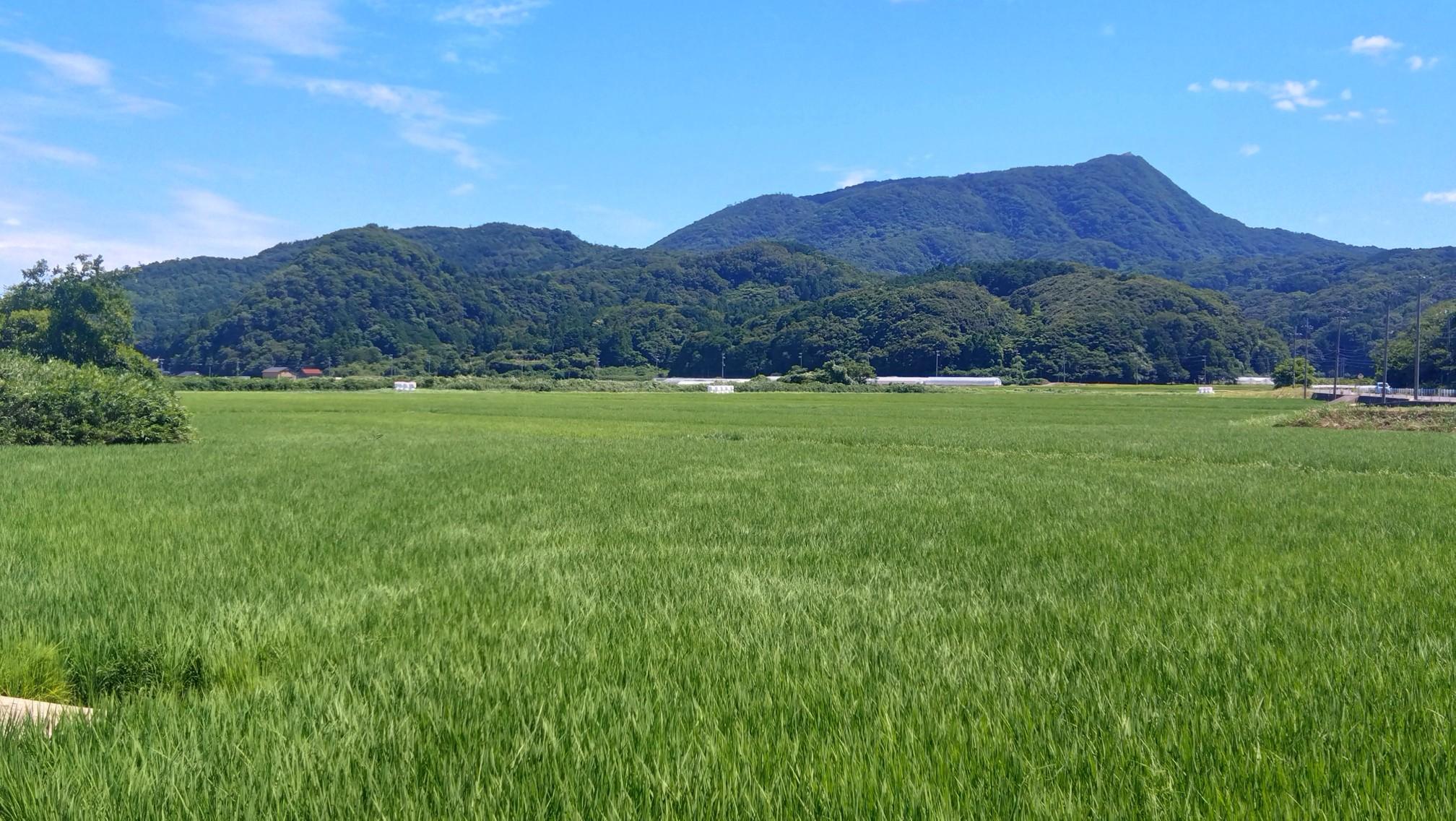 依遅ヶ尾山 / @toshisさんの依遅ヶ尾山の活動データ | YAMAP / ヤマップ