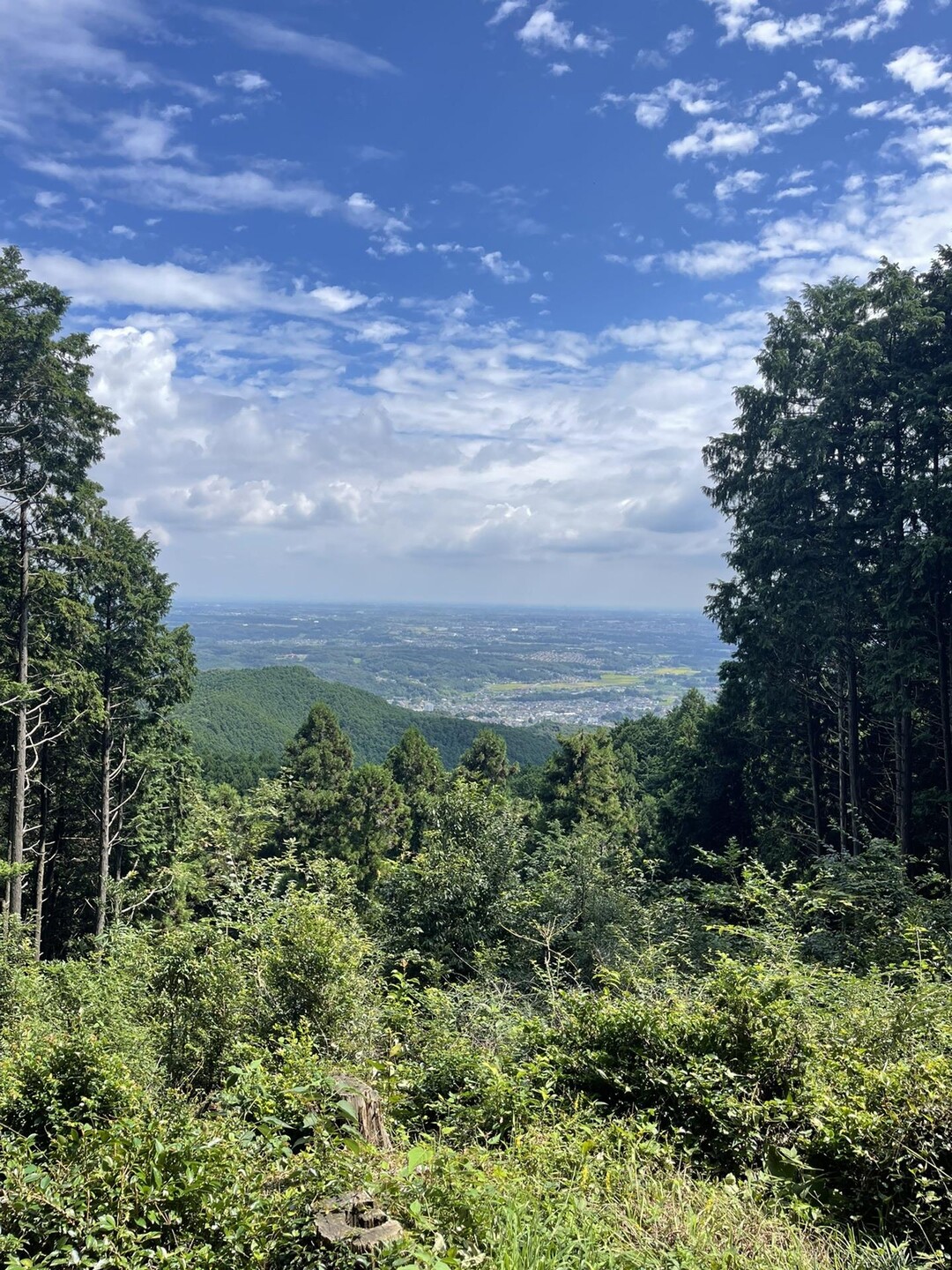 【越生月例H】R4-9 展望コース-2022-09-10 / タキハナさんの大高取山の活動データ | YAMAP / ヤマップ