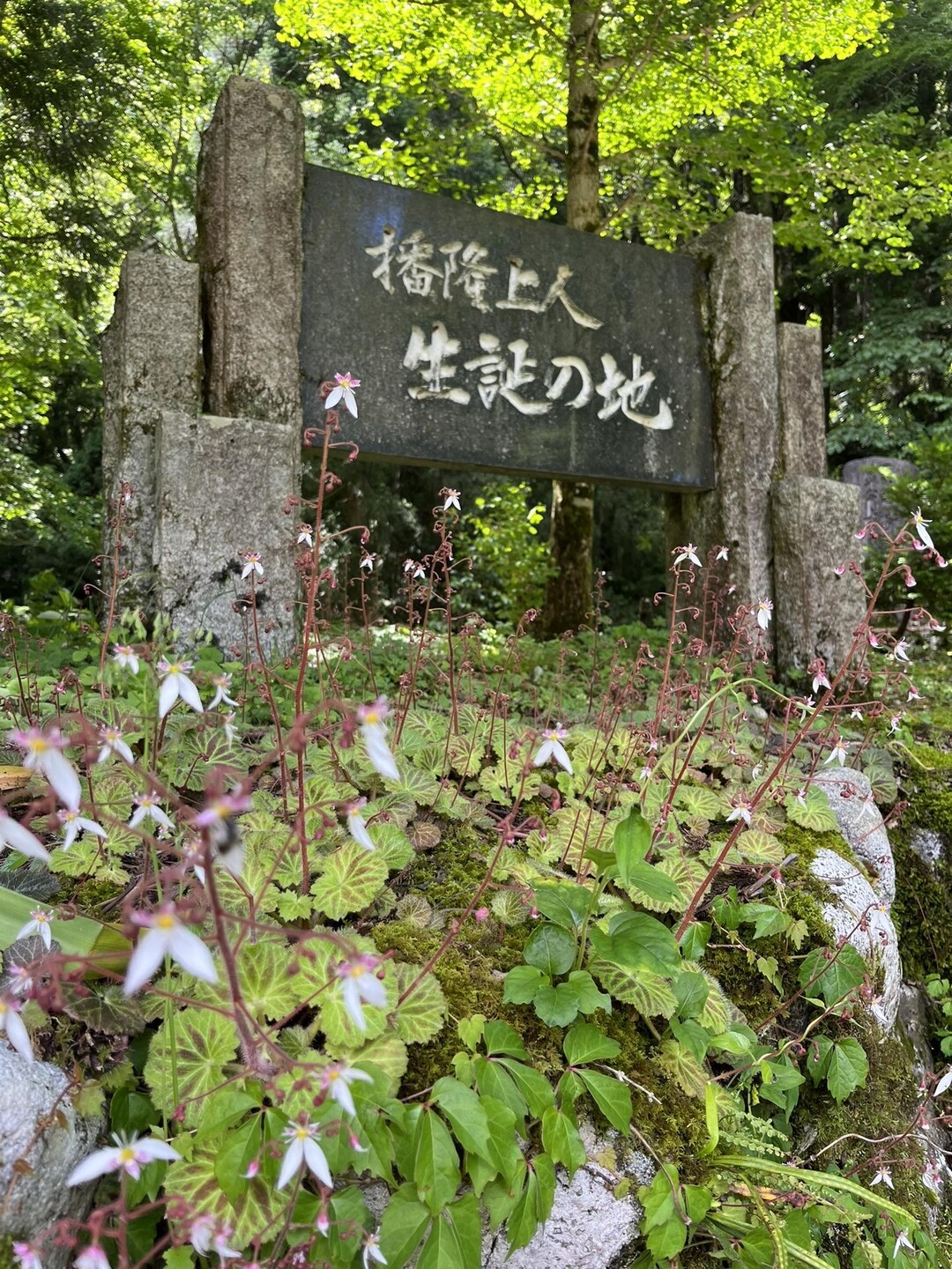 播隆上人生誕の地を訪ねて〜高頭山〜 / mierinさんの高頭山の活動データ | YAMAP / ヤマップ