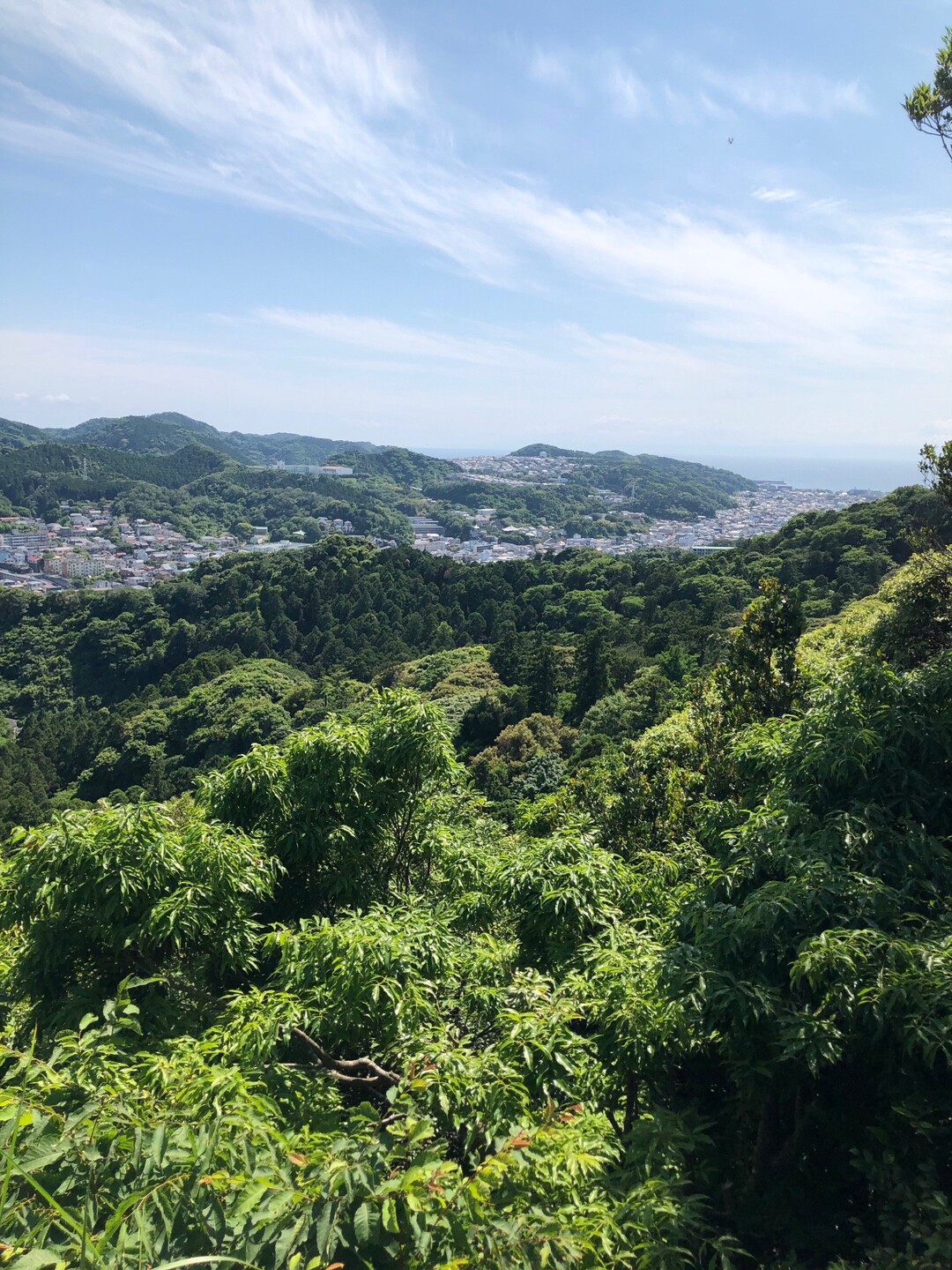 みみどんさんの投稿したフィールドメモ | YAMAP / ヤマップ