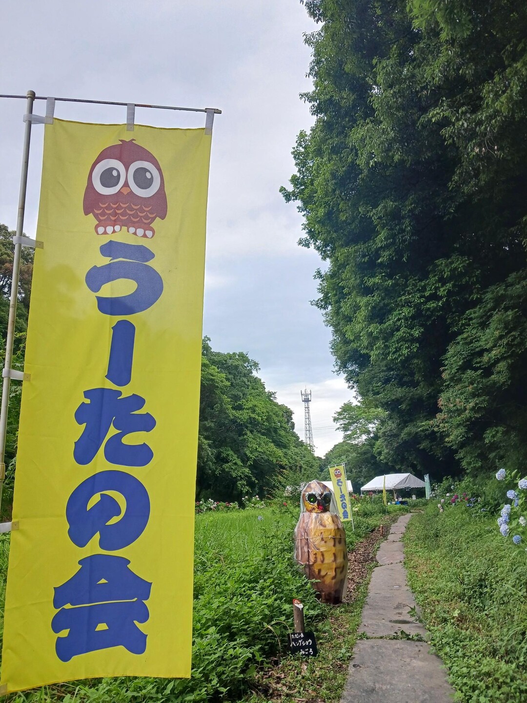 🔰うーたの里🔰 / ムロアスカさんの九六位山の活動データ | YAMAP / ヤマップ