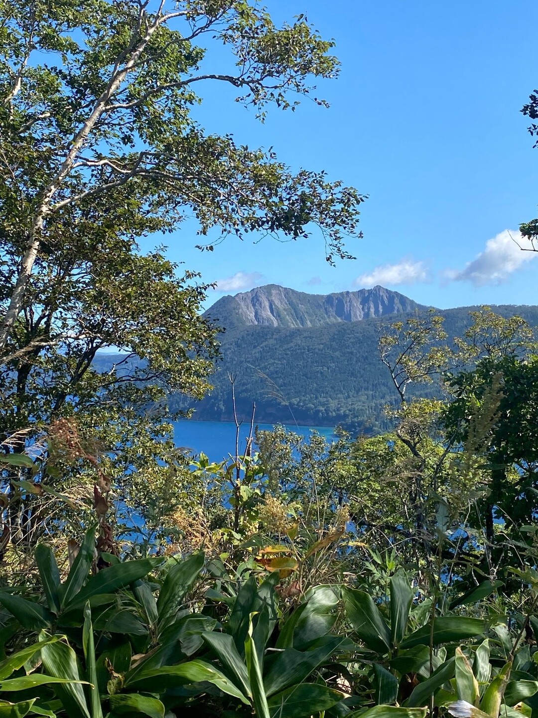 摩周岳（カムイヌプリ） / Myaccoroさんの摩周岳（カムイヌプリ）・西別岳・摩周湖の活動データ | YAMAP / ヤマップ
