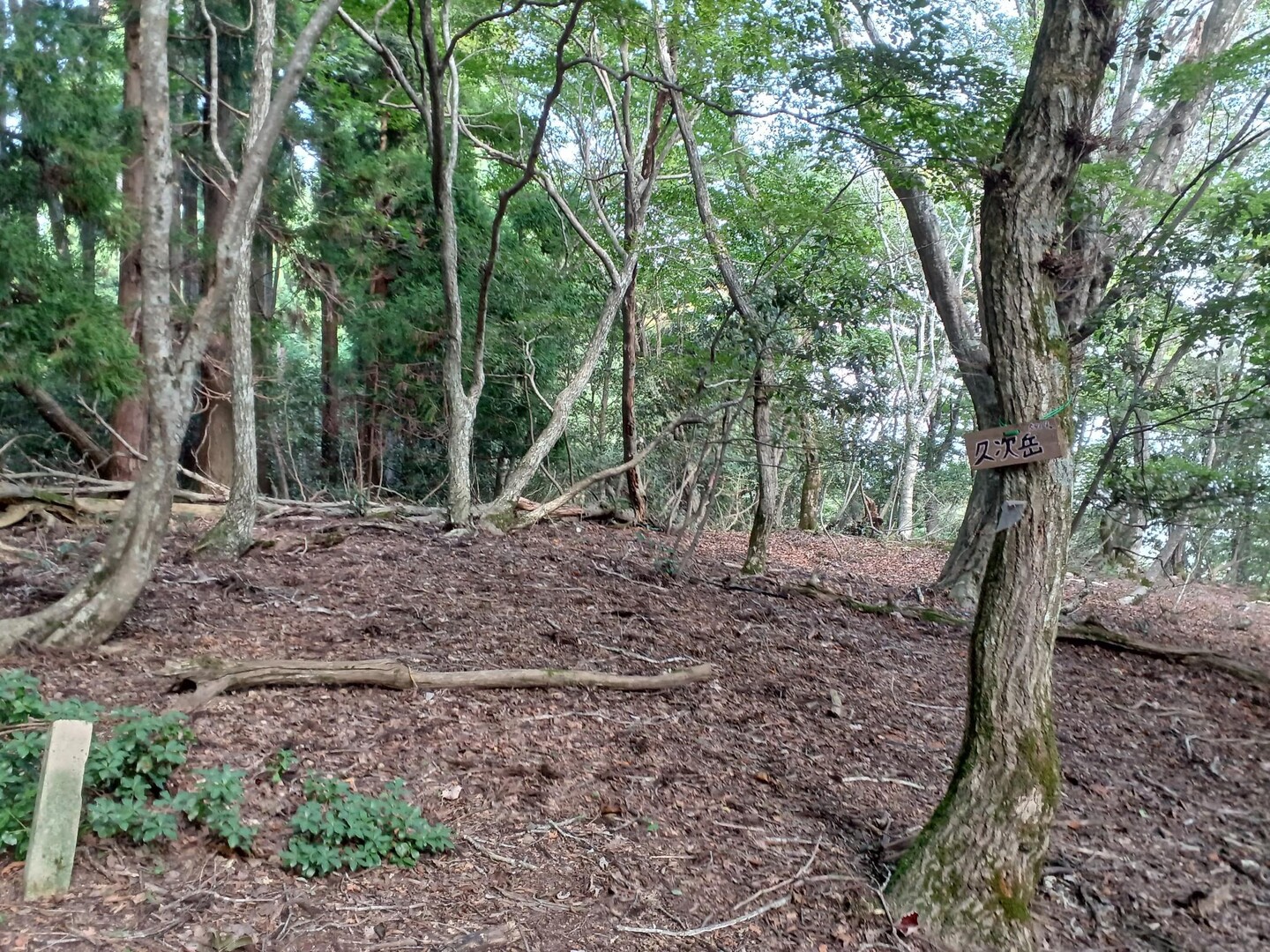 久次岳 / simodaさんの久次岳の活動データ | YAMAP / ヤマップ