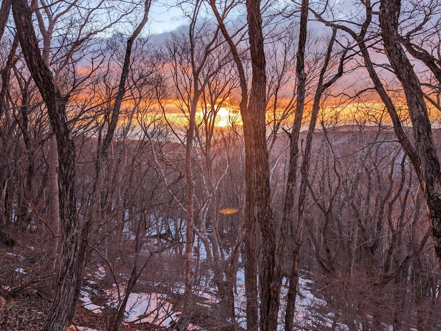 朝活・五葉山 / GENさんの五葉山・愛染山の活動データ | YAMAP / ヤマップ