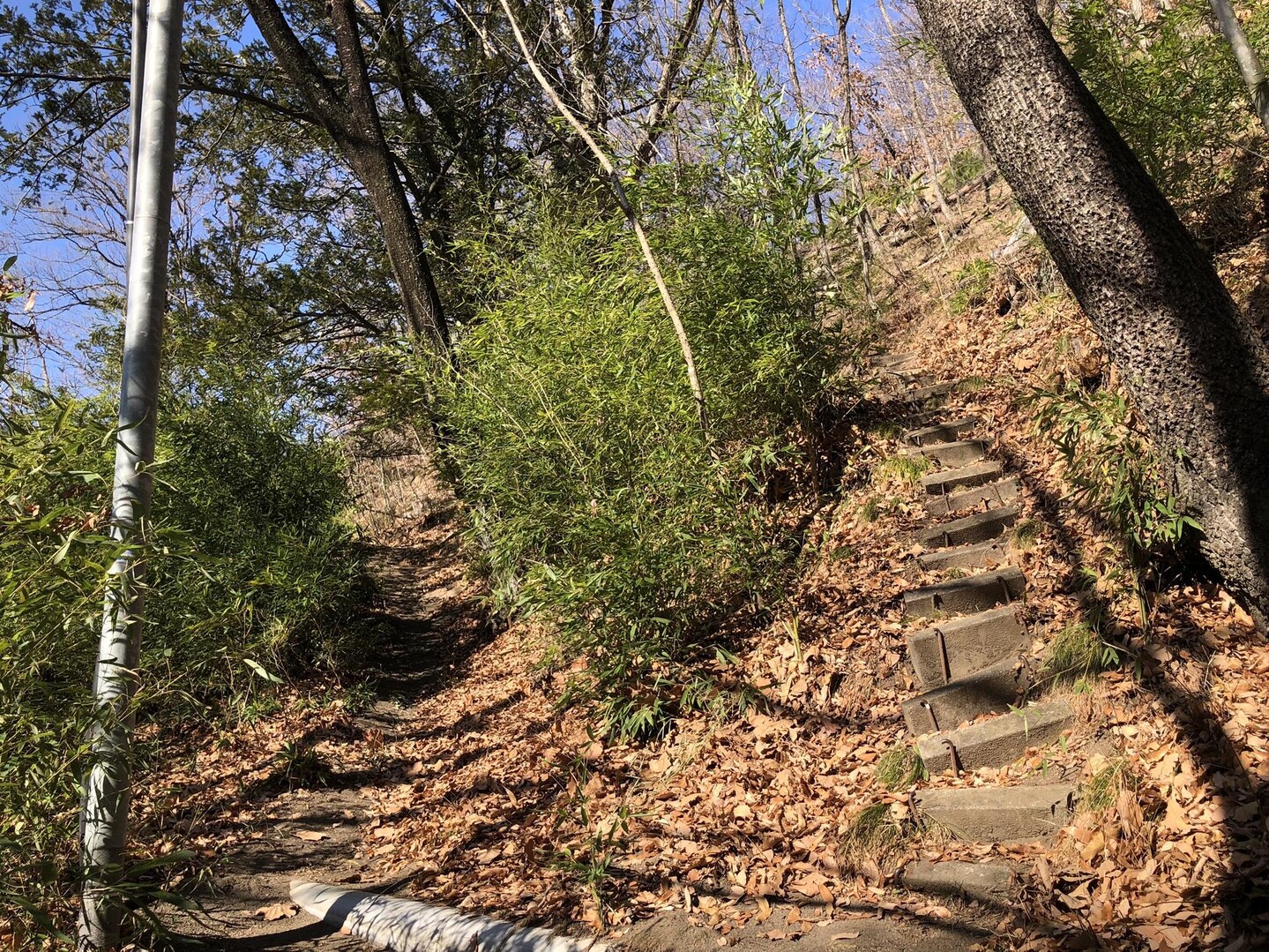 SamuSamuさんの投稿したフィールドメモ | YAMAP / ヤマップ