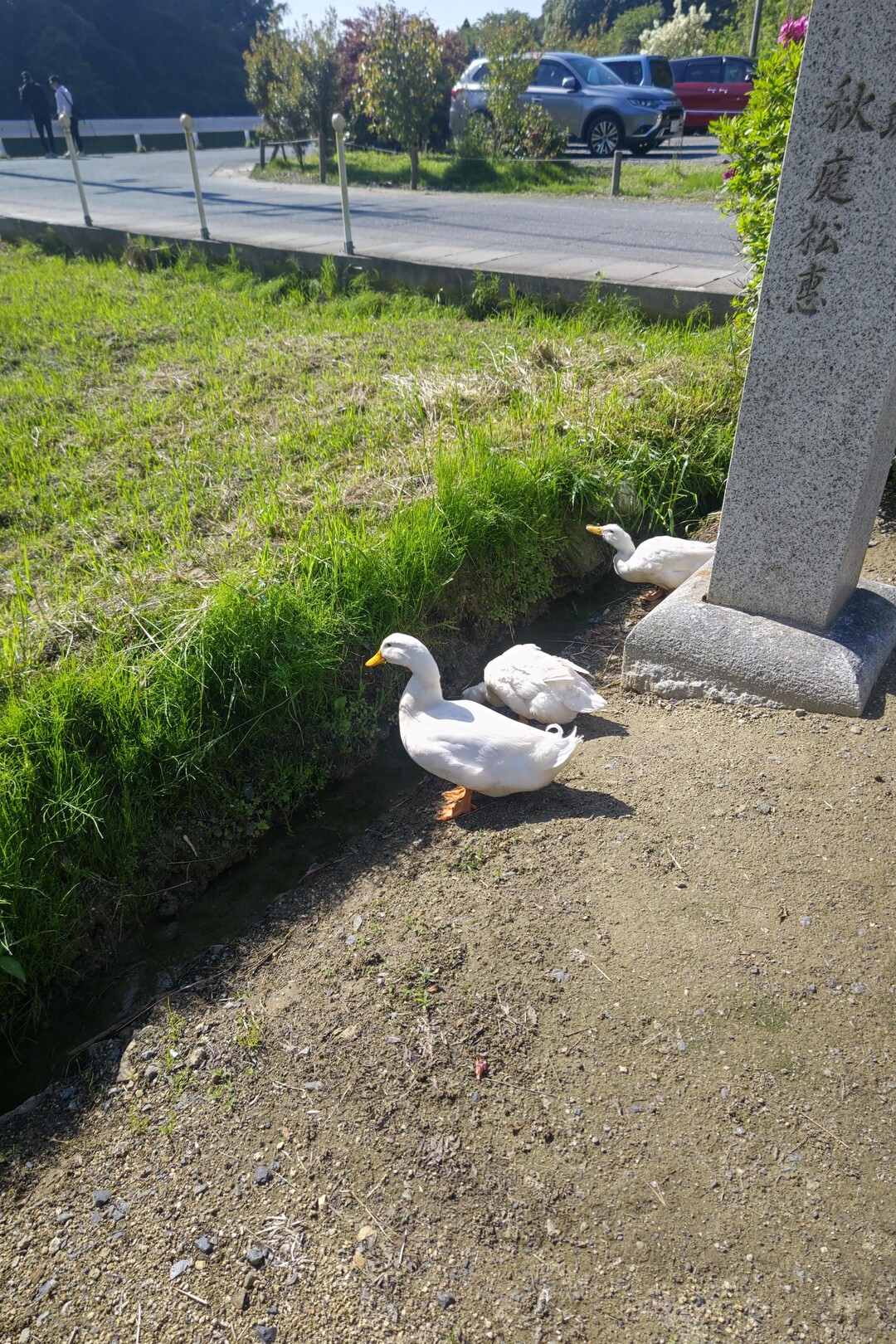 嫁のリハビリde福山 / gp02さんの福山・江田山・高鳥居山の活動データ | YAMAP / ヤマップ