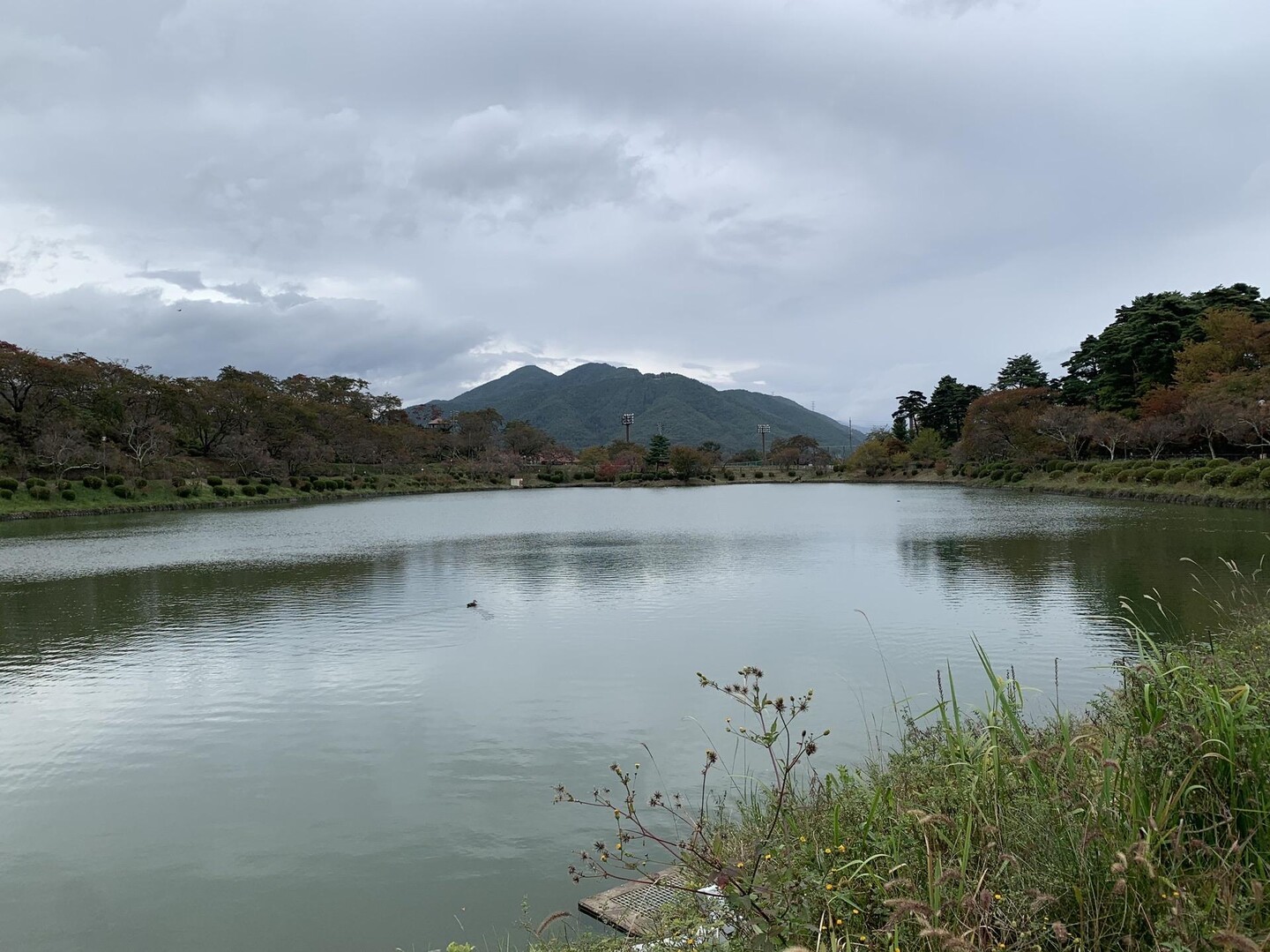 荒神山おさんぽ / jucca🍎さんの大城山・鶴ヶ峰・諏訪高尾山の活動データ | YAMAP / ヤマップ