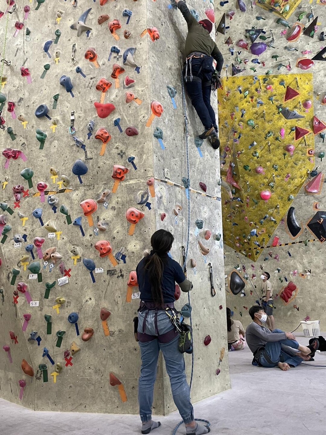 2月なのに、ハイシーズンなのに、雨、、、... / to-ruさんのモーメント | YAMAP / ヤマップ