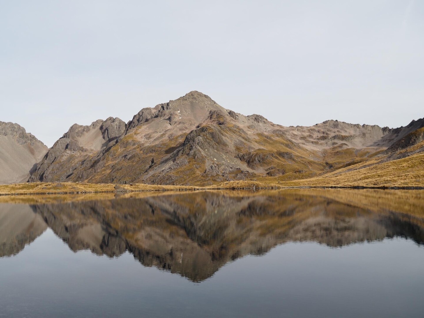 🇳🇿Robert Ridge Route / natsumiさんのネルソン・レイクス国立公園の活動データ | YAMAP / ヤマップ